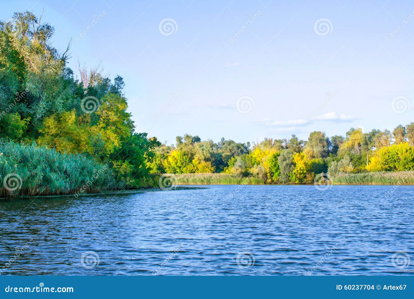 Landscape Image of a Large River Shore Vegetation Stock Photo - Image ...