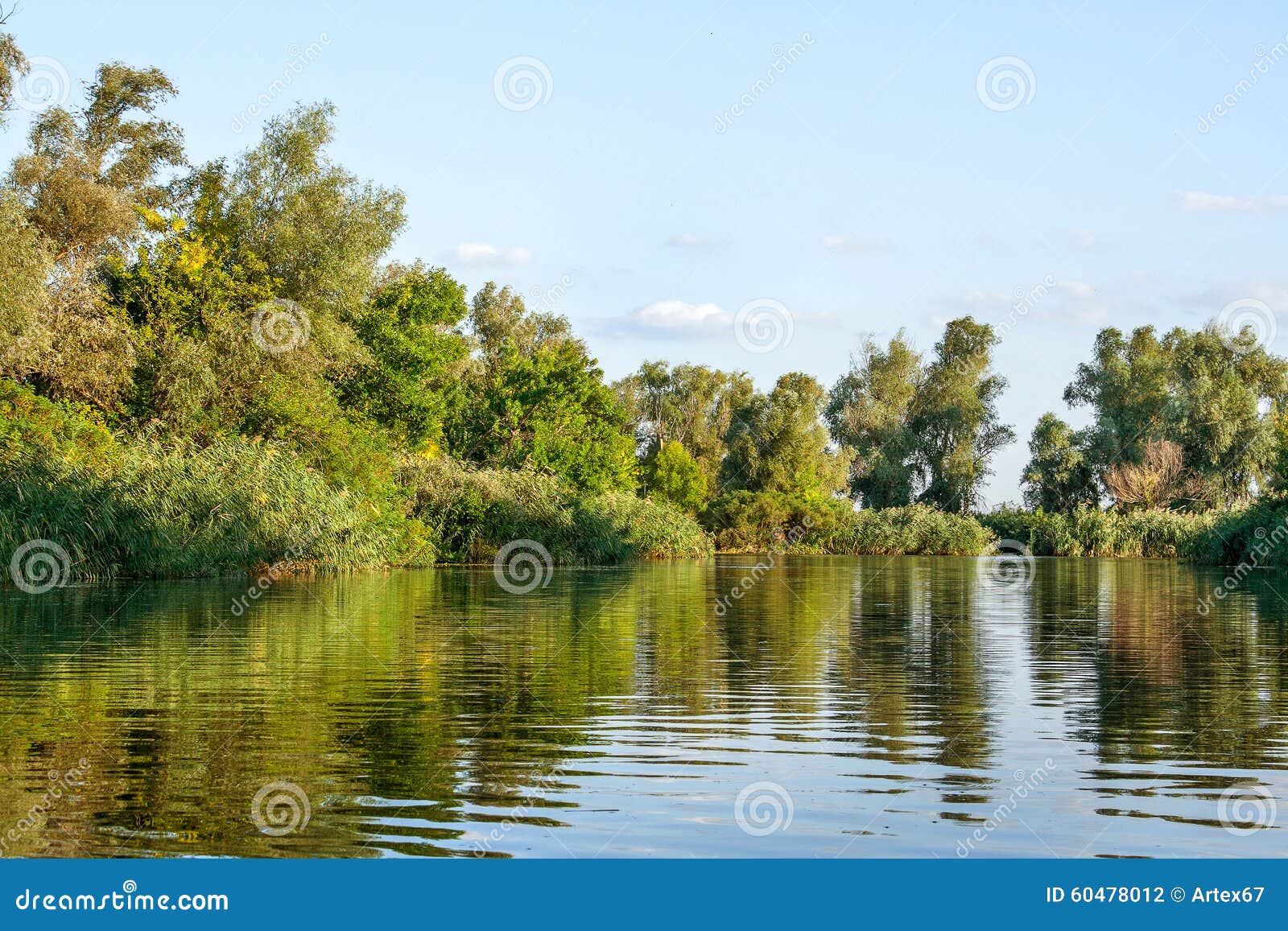 Landscape Image of a Large River Shore Vegetation Stock Photo - Image ...