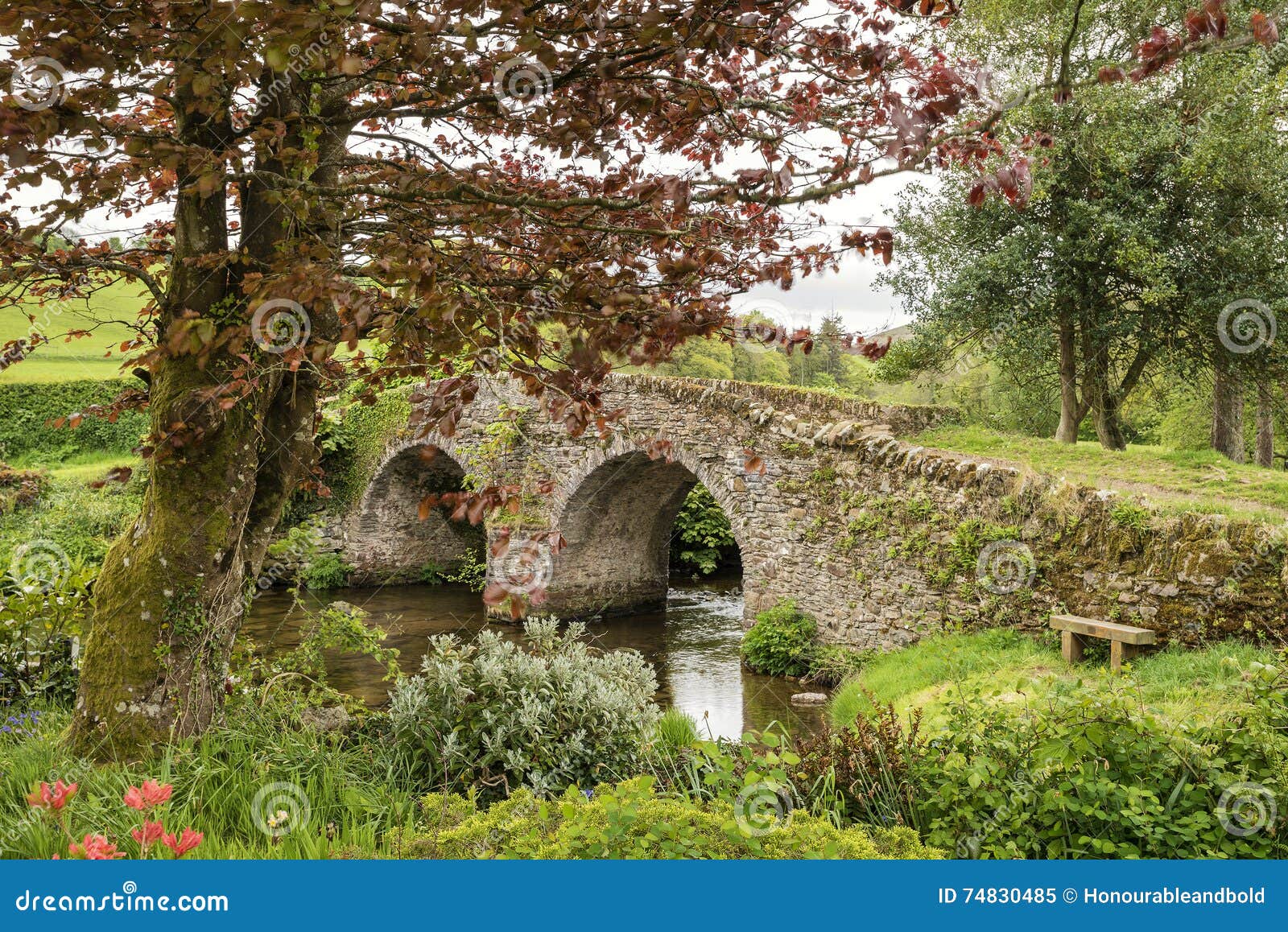 Landscape Image of Medieval Bridge in River Setting in English C Stock ...