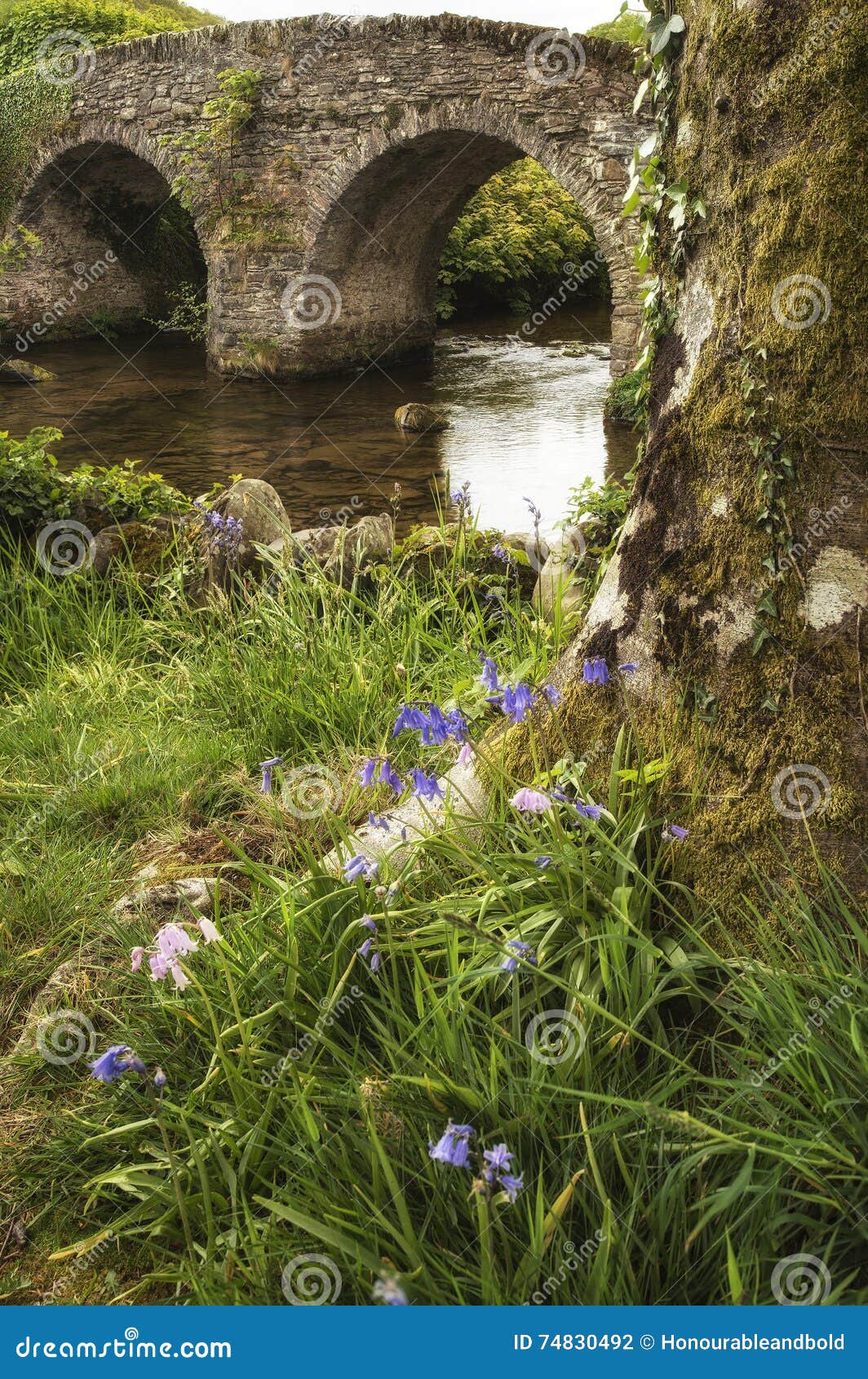 Landscape Image of Medieval Bridge in River Setting in English C Stock ...