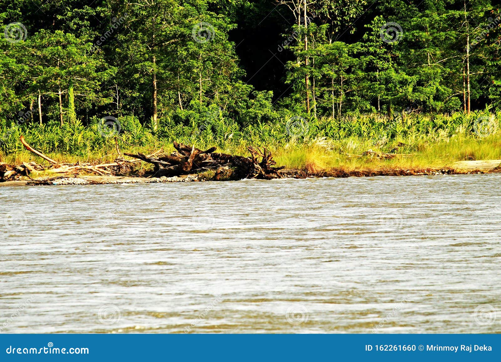 Landscape Image with Mountains, Trees and a River in Front. Beautiful ...