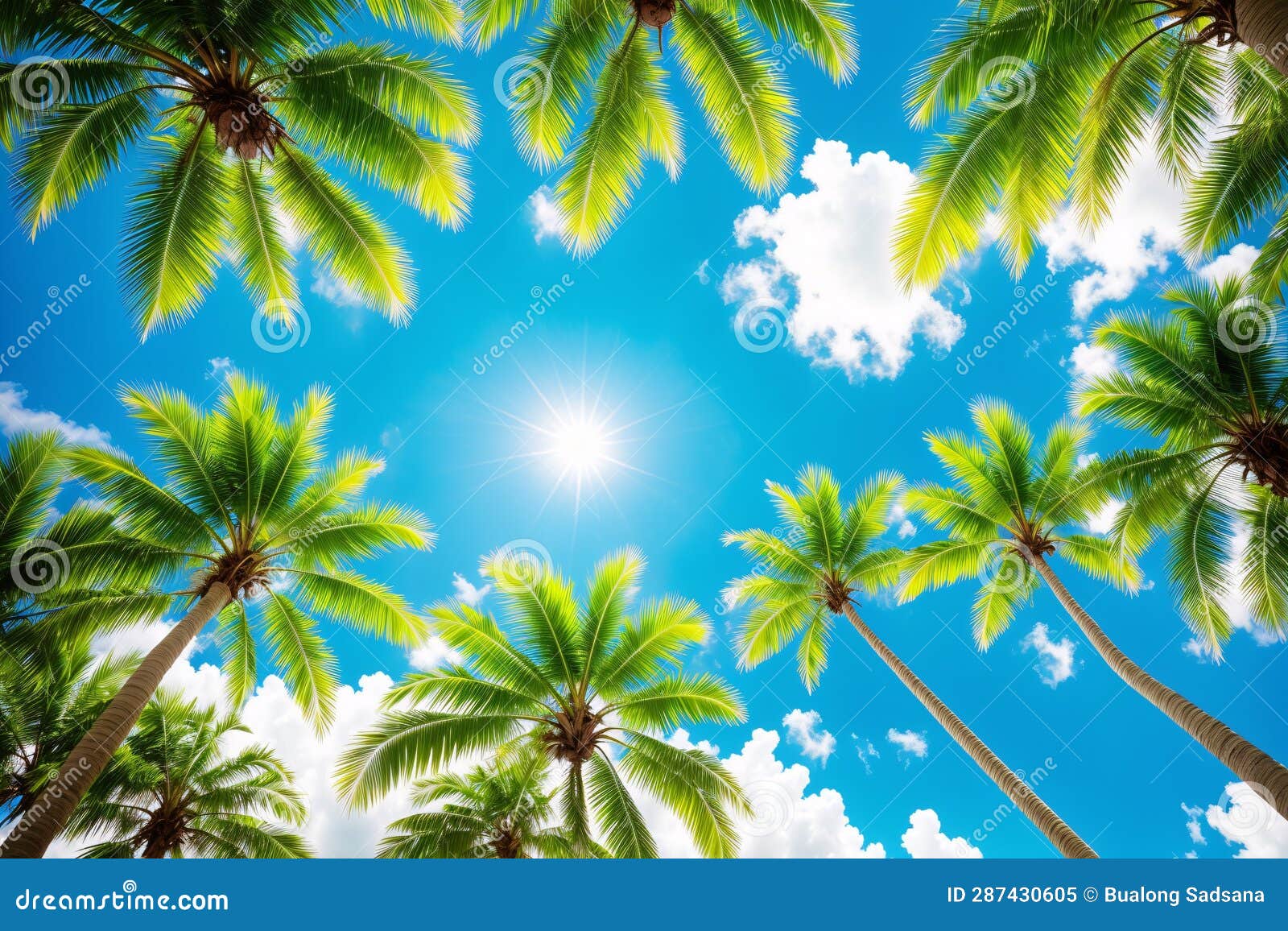 The Palm Trees are Looking Up. Stock Illustration - Illustration of summer, leaves: 287430605