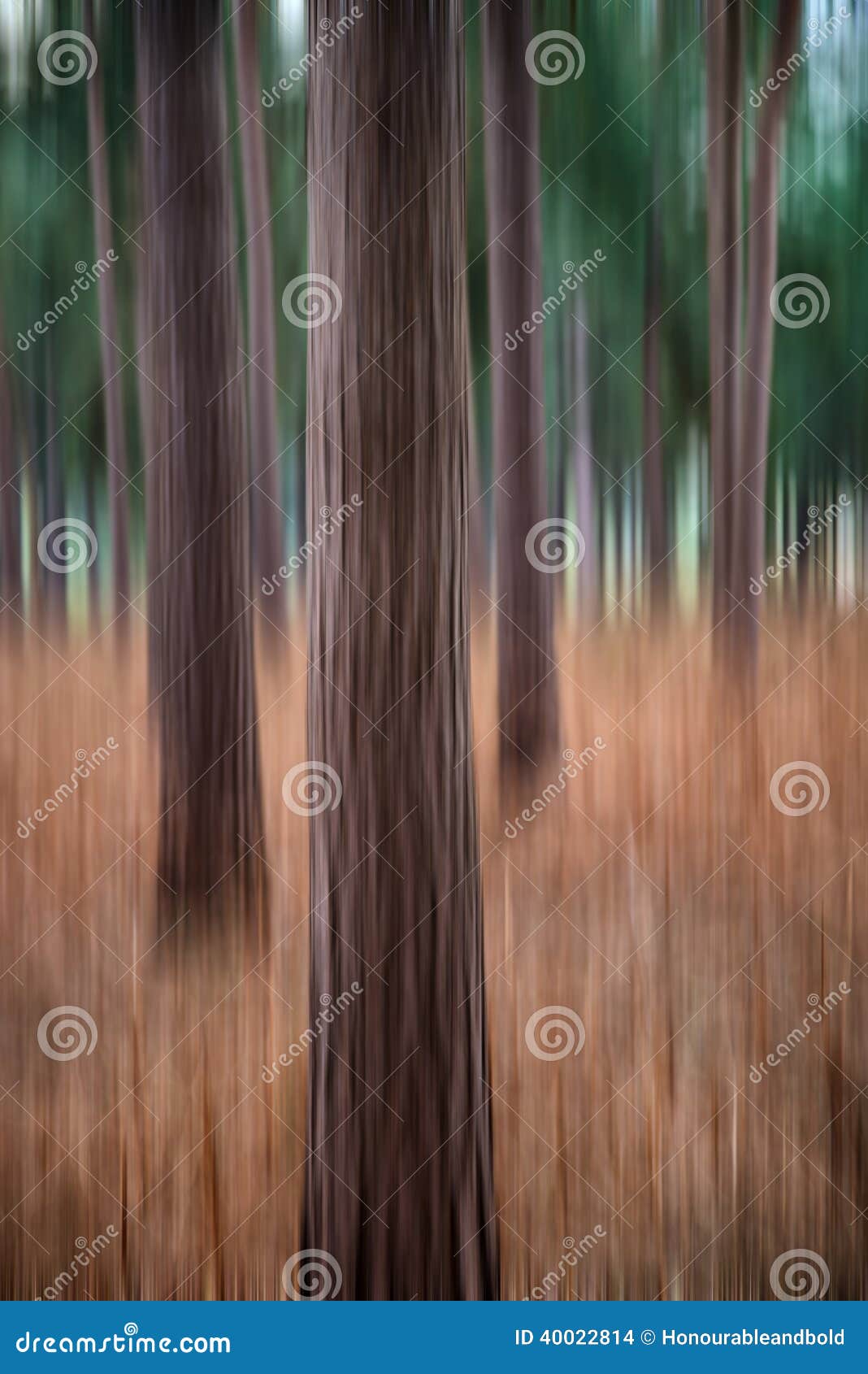 Landscape Image Pine Forest Blur Artistic Effect Stock Photo - Image of ...