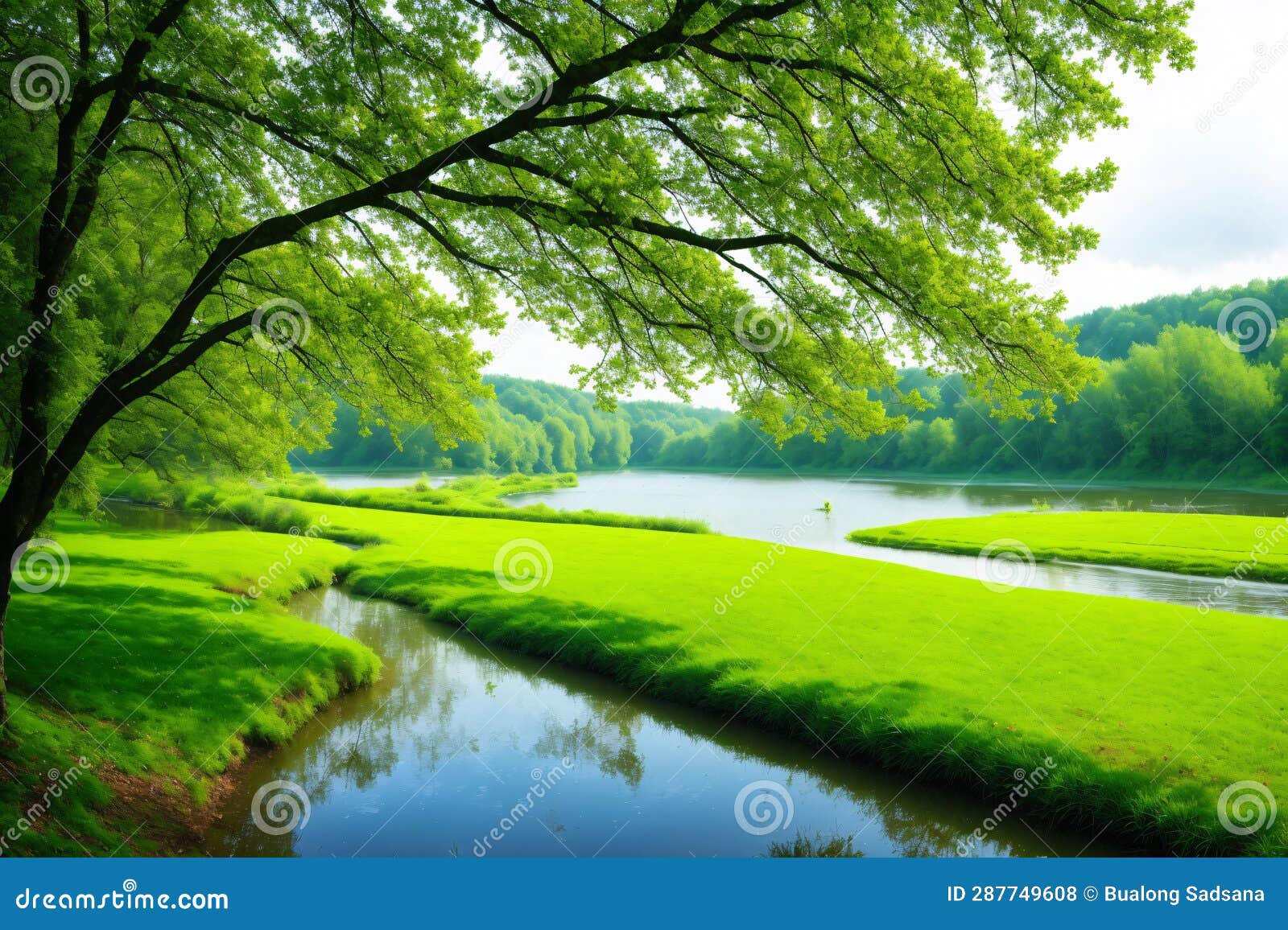 The Landscape Has a Tree Over the River. Stock Illustration ...