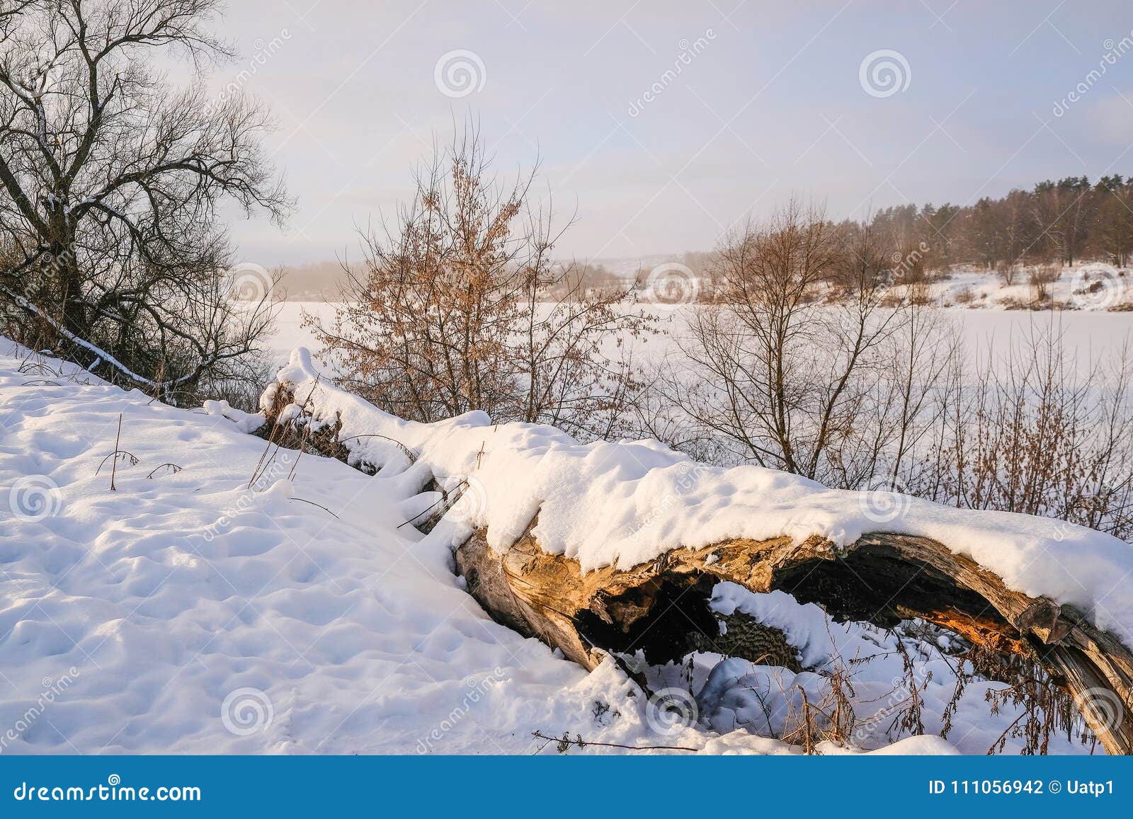 Image of winter meadow stock photo. Image of rural, snowbank - 111056942