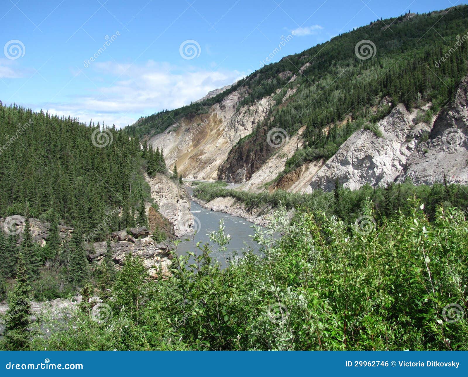 Nenana river, Alaska stock photo. Image of river, landscape - 29962746
