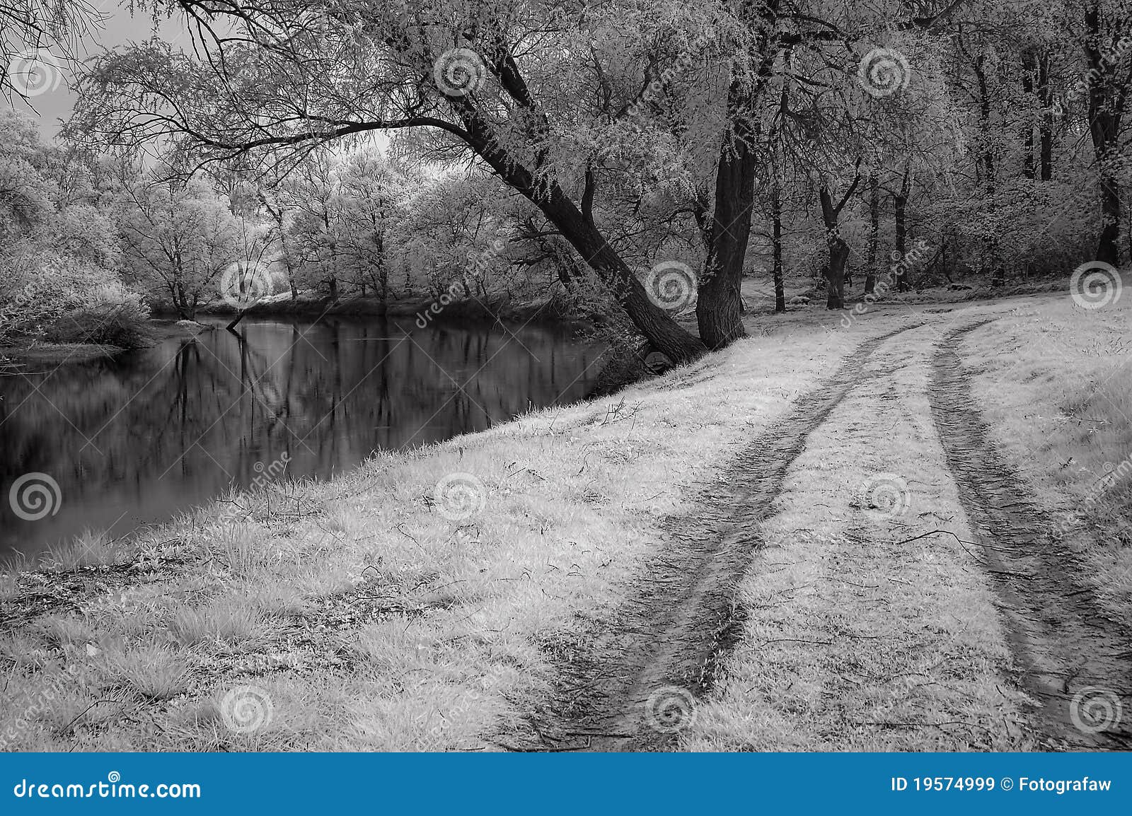 Landscape in the infrared stock image. Image of green - 19574999