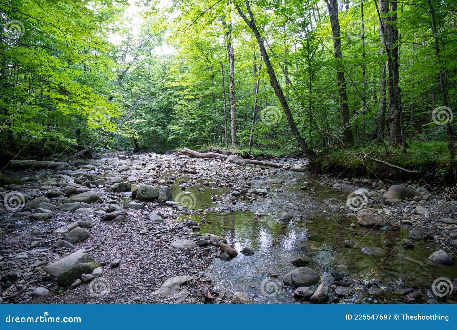 Landscape of a River in the Woods. Stock Image - Image of landscape ...