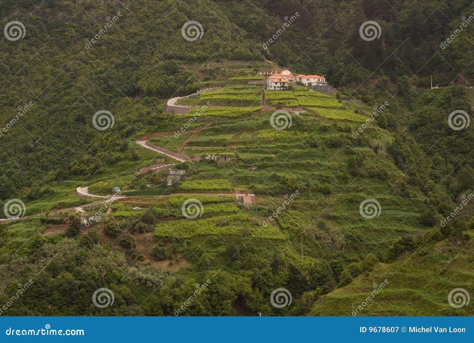 Landscape in the Island of Madeira Stock Image - Image of scenery, land ...