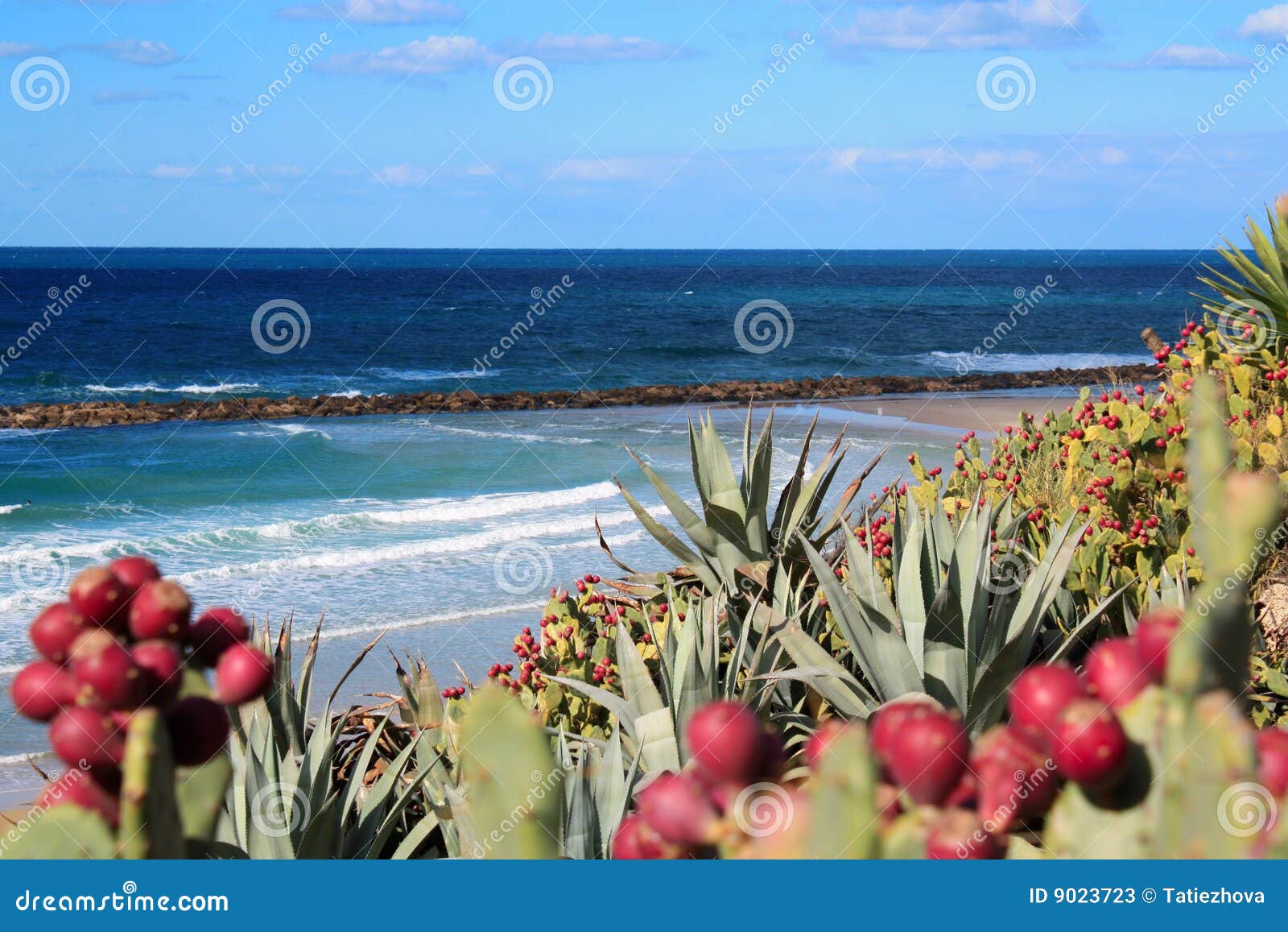 Landscape of Israel stock image. Image of idyllic, tourism - 9023723