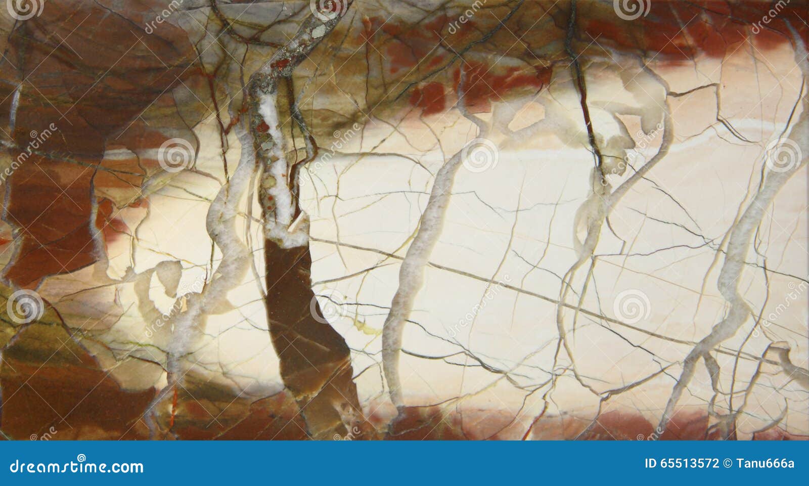 Landscape Jasper, Background with Fantastic Trees Stock Photo - Image ...