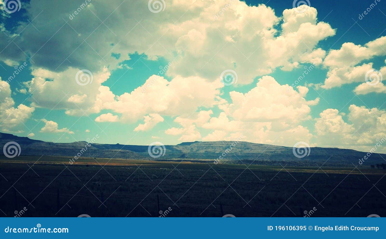Landscape Karoo Dusty Fields Stock Image - Image of evening, nature ...