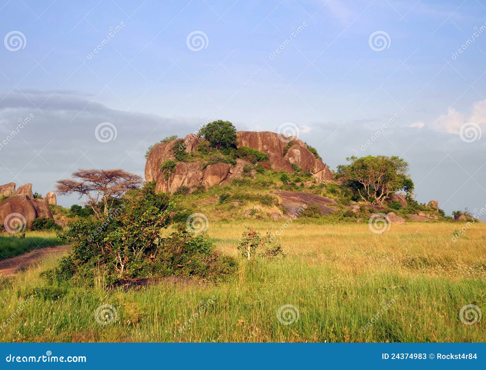 Landscape - Kenya stock image. Image of landscape, travel - 24374983