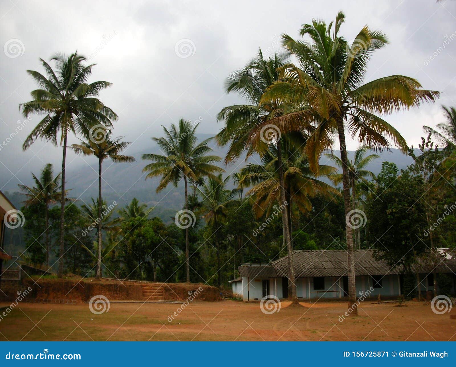 A hut among the palm trees stock image. Image of nature - 156725871