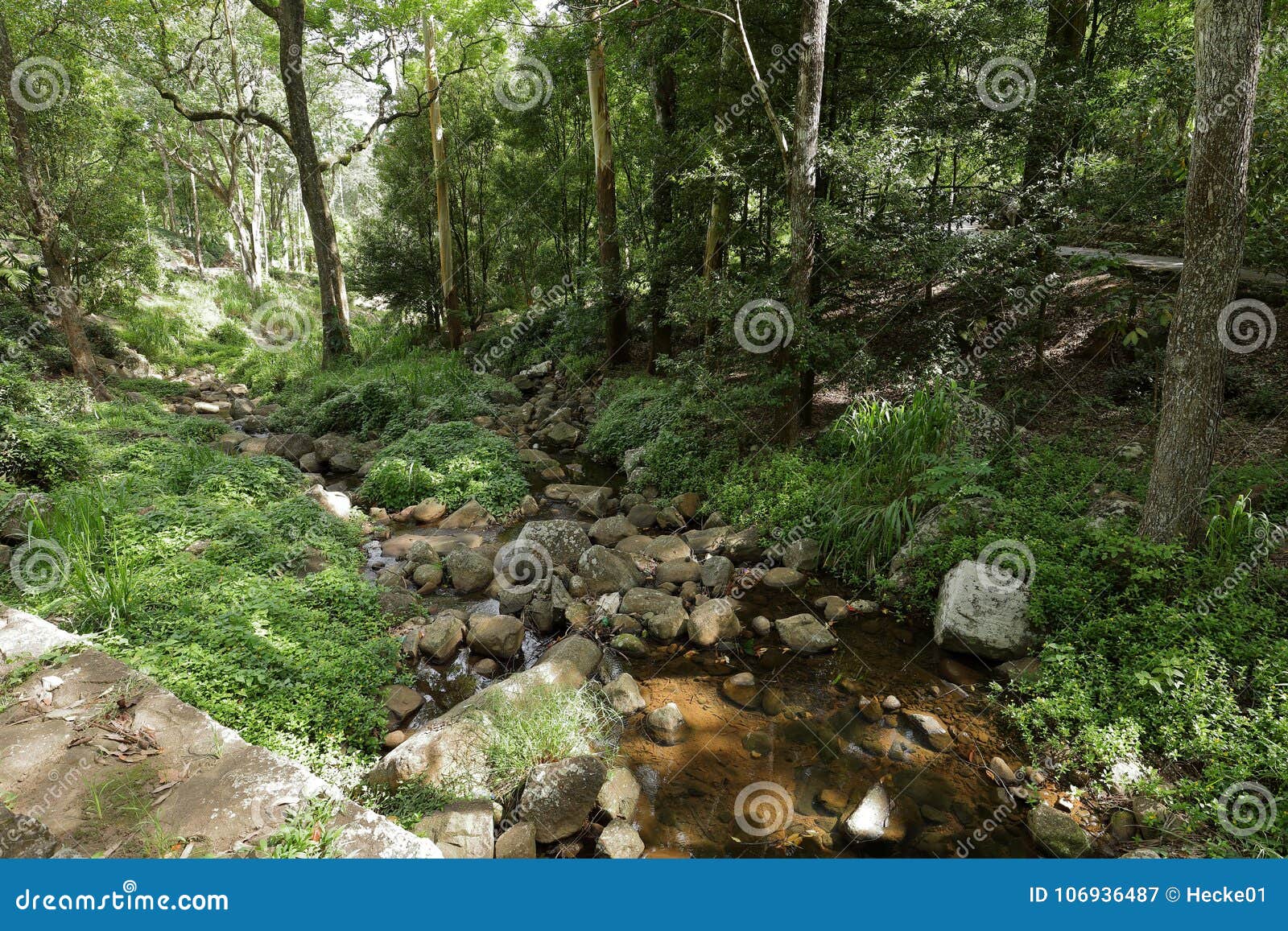 Landscape in the Knuckles Range at Kandy in Sri Lanka Stock Image ...
