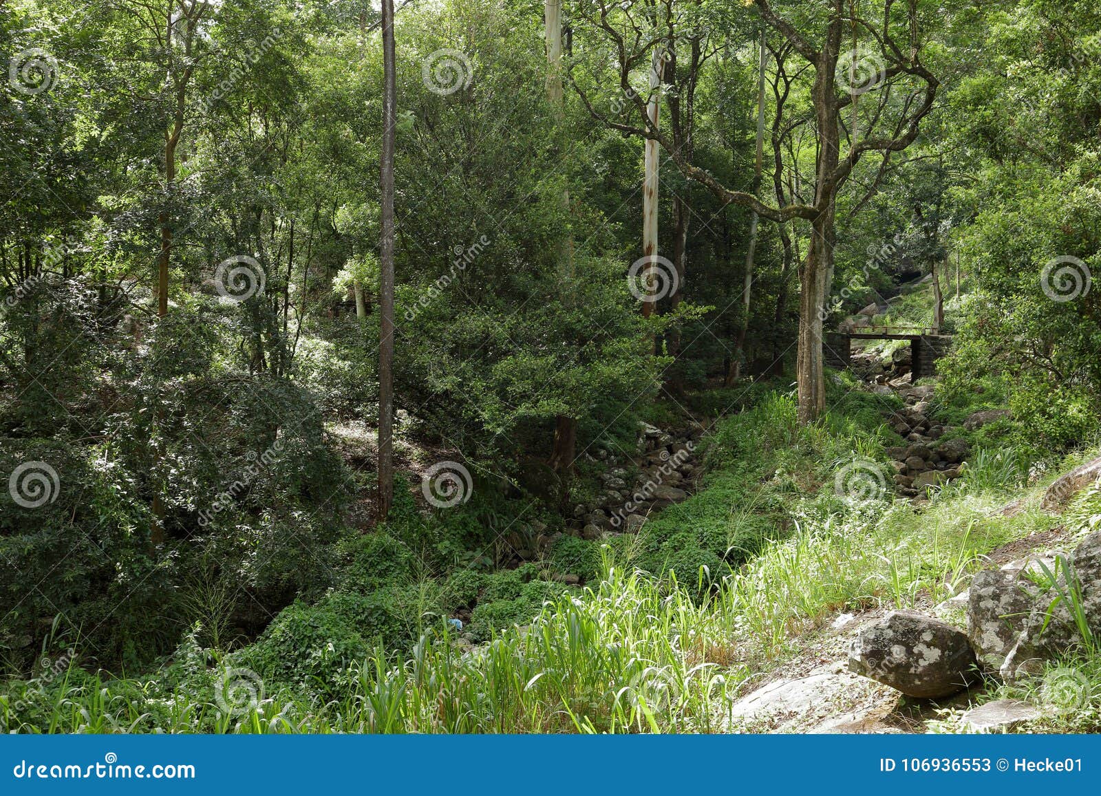 Landscape in the Knuckles Range at Kandy in Sri Lanka Stock Image ...