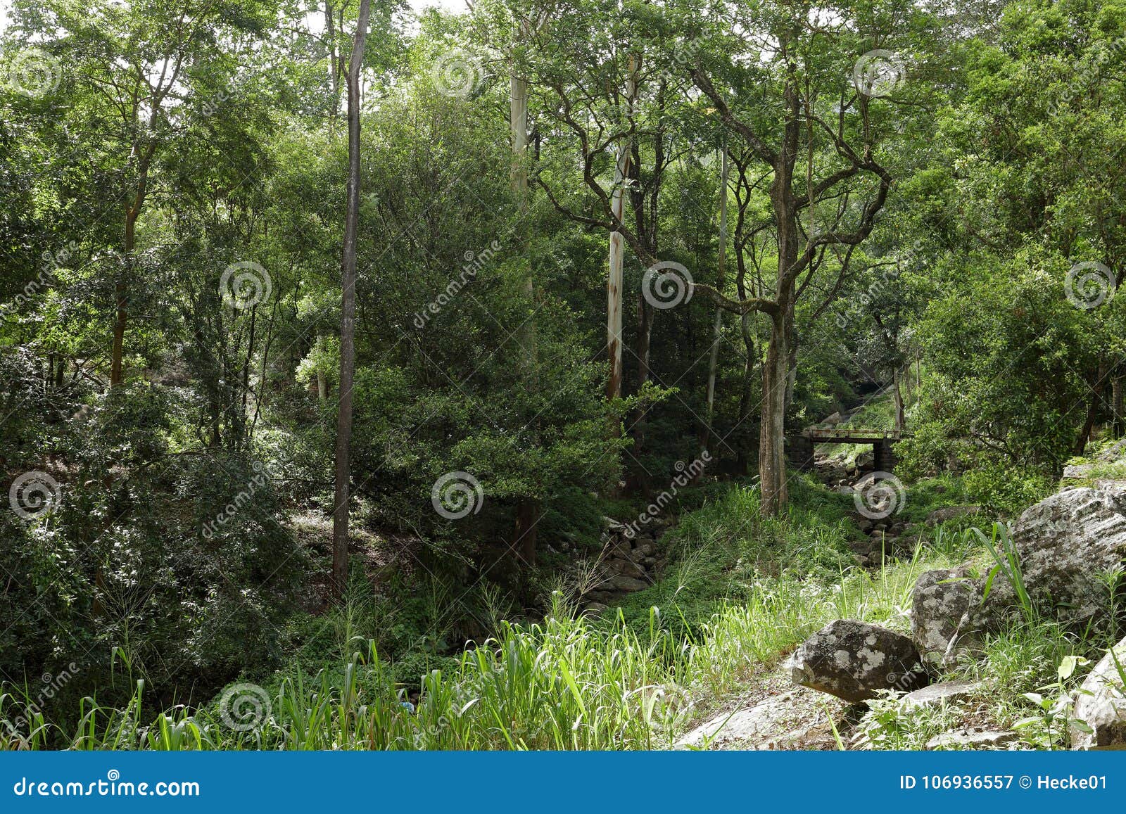 Landscape in the Knuckles Range at Kandy in Sri Lanka Stock Image ...
