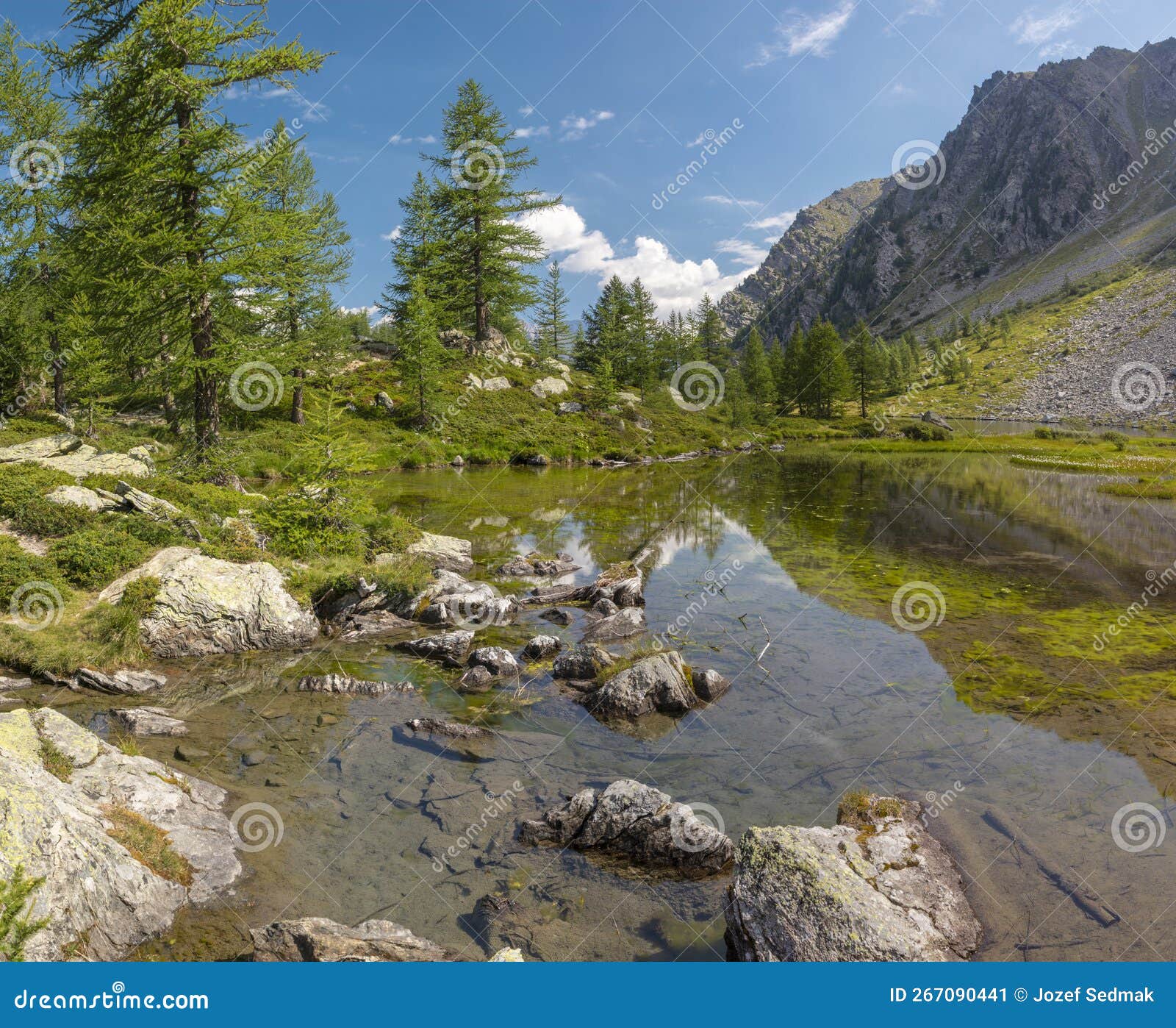 The Landscape at Lago D Arpy Lake Stock Image - Image of green, forest ...