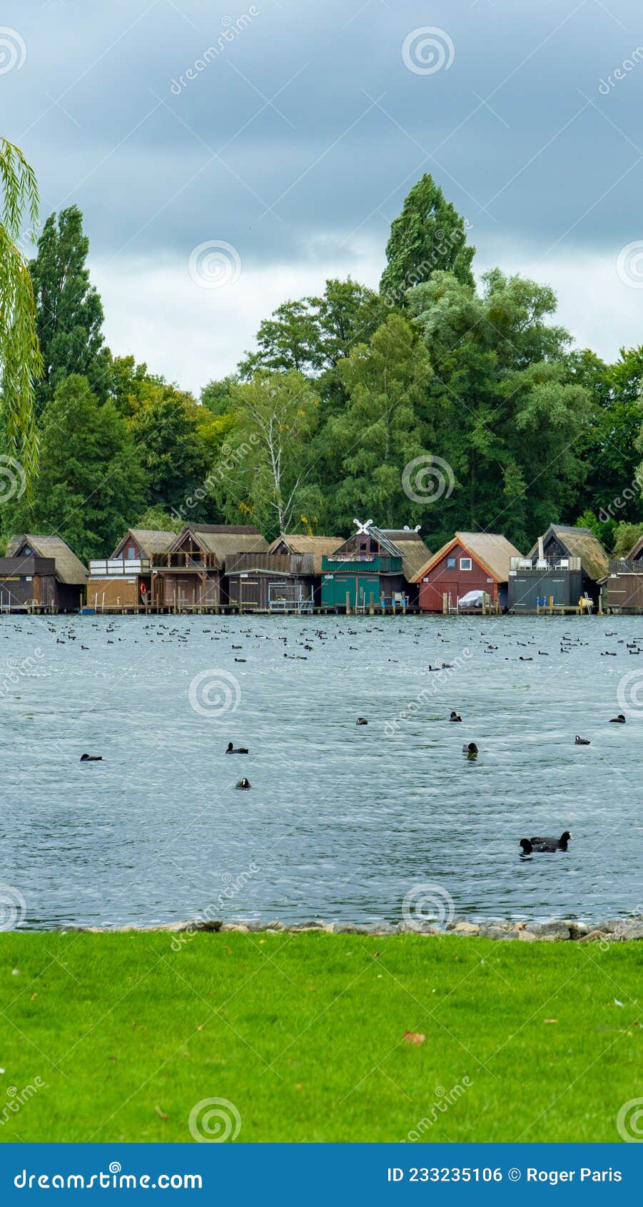 Landscape of a Lake Full of Ducks with Some Docks and Forest in the ...
