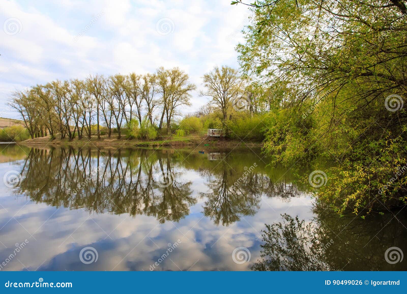 Landscape with lake stock photo. Image of environment - 90499026