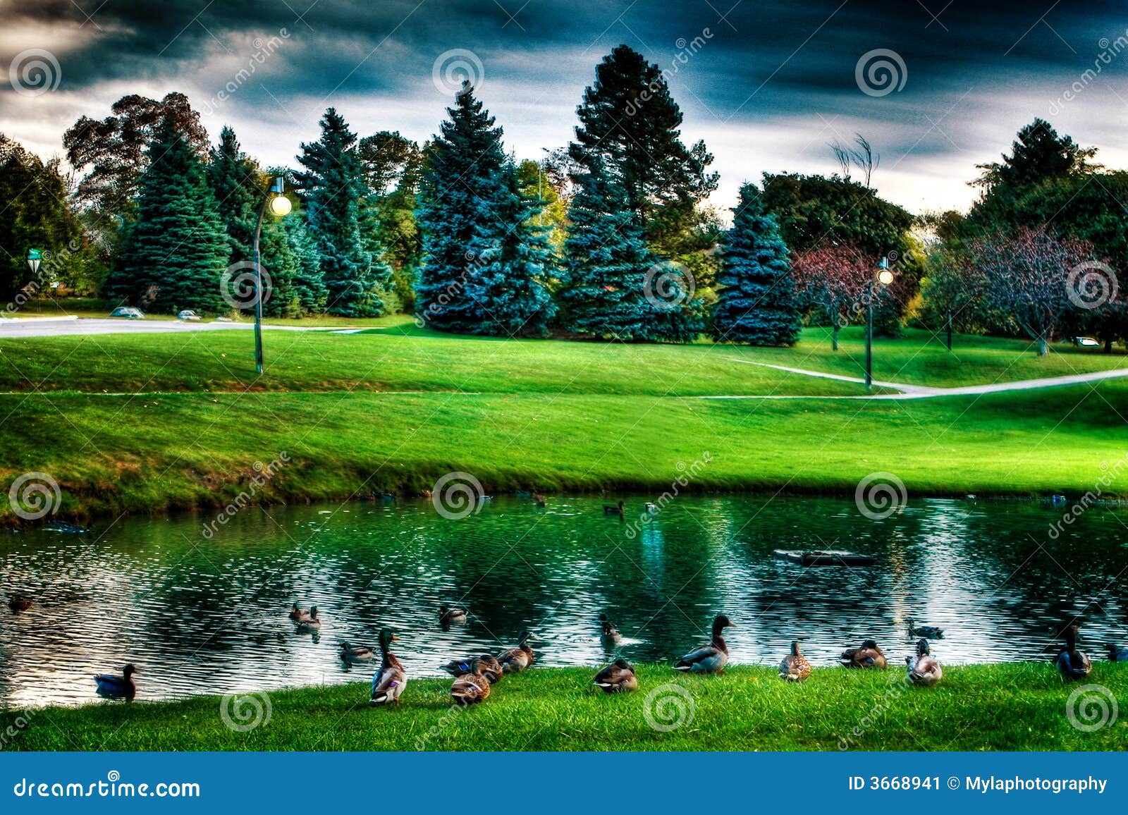 Landscape of Lake and Trees Stock Image - Image of outside, idyllic ...
