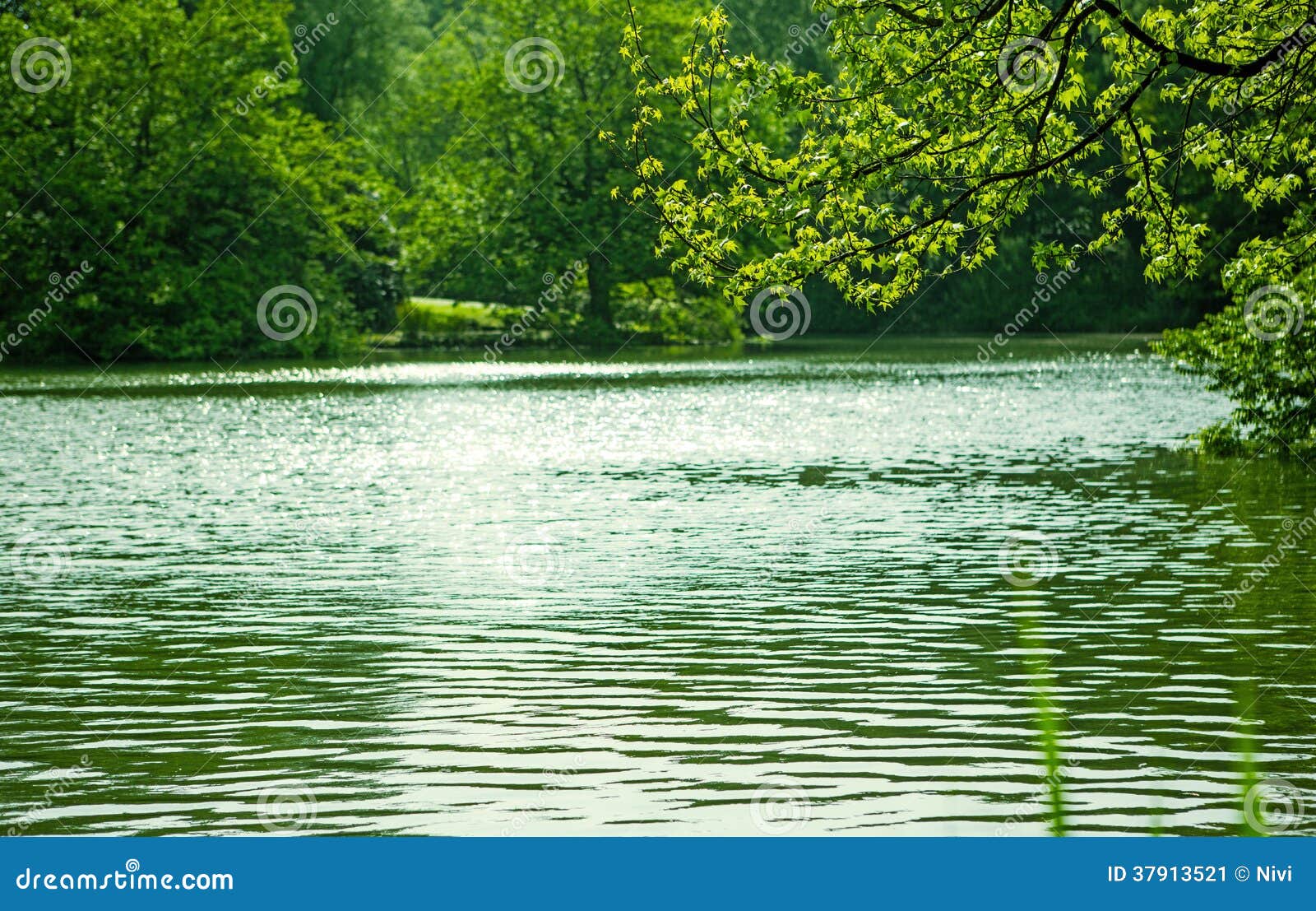 Landscape of Lake and Trees Stock Image - Image of nature, forest: 37913521