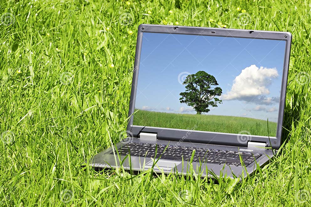 Landscape on laptop screen stock image. Image of communication - 25444261