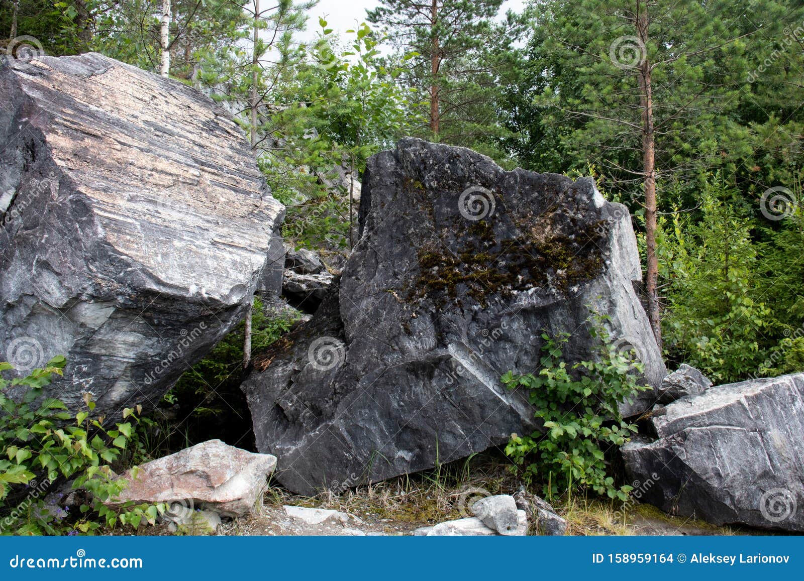 Landscape with Large Marble Blocks with a Forest Overgrown on Them ...
