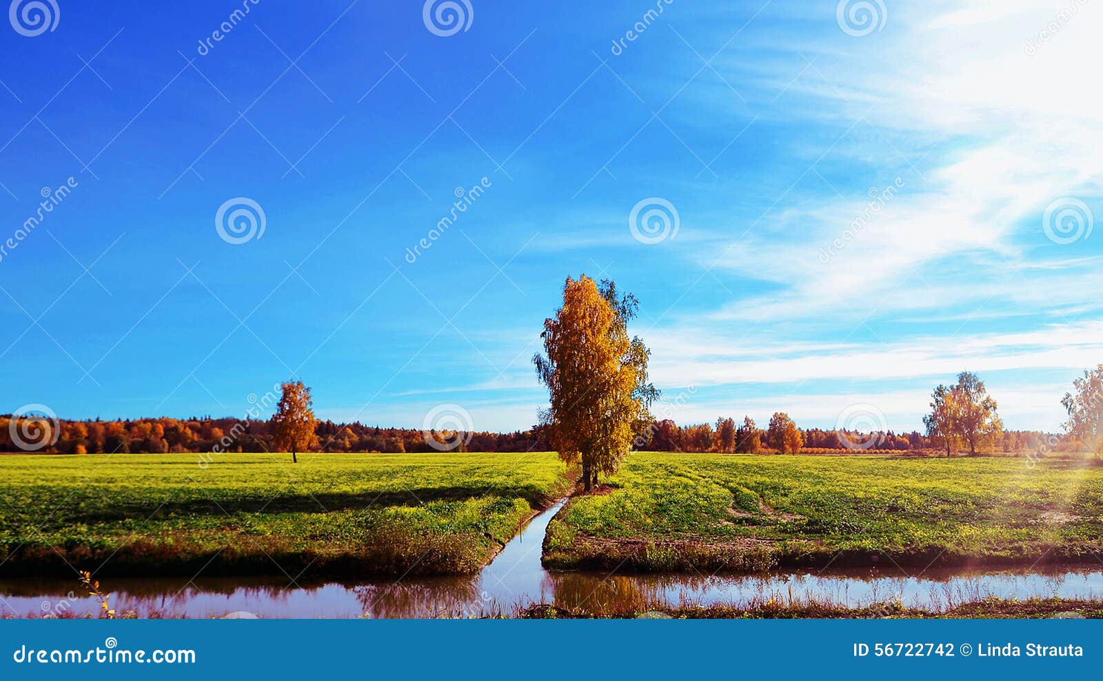 Landscape of Latvia stock photo. Image of sunny, contrast - 56722742