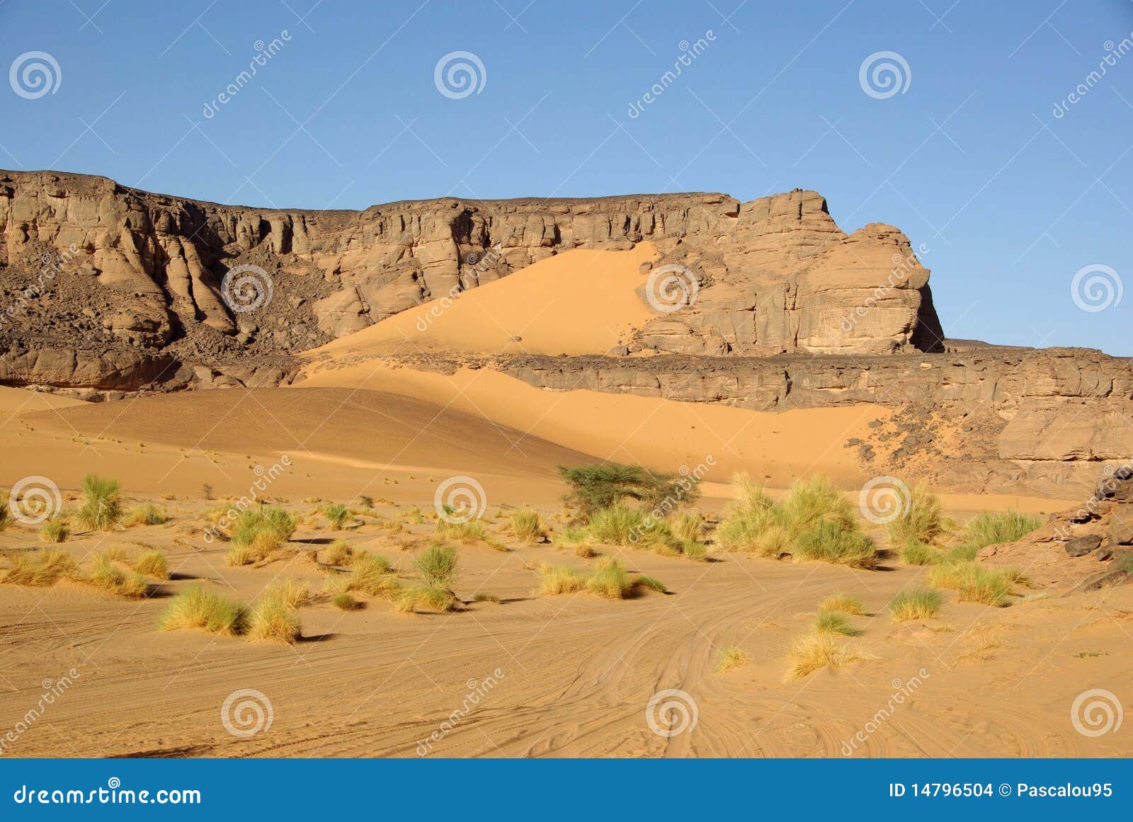 Landscape in Libya stock photo. Image of arming, colorful - 14796504