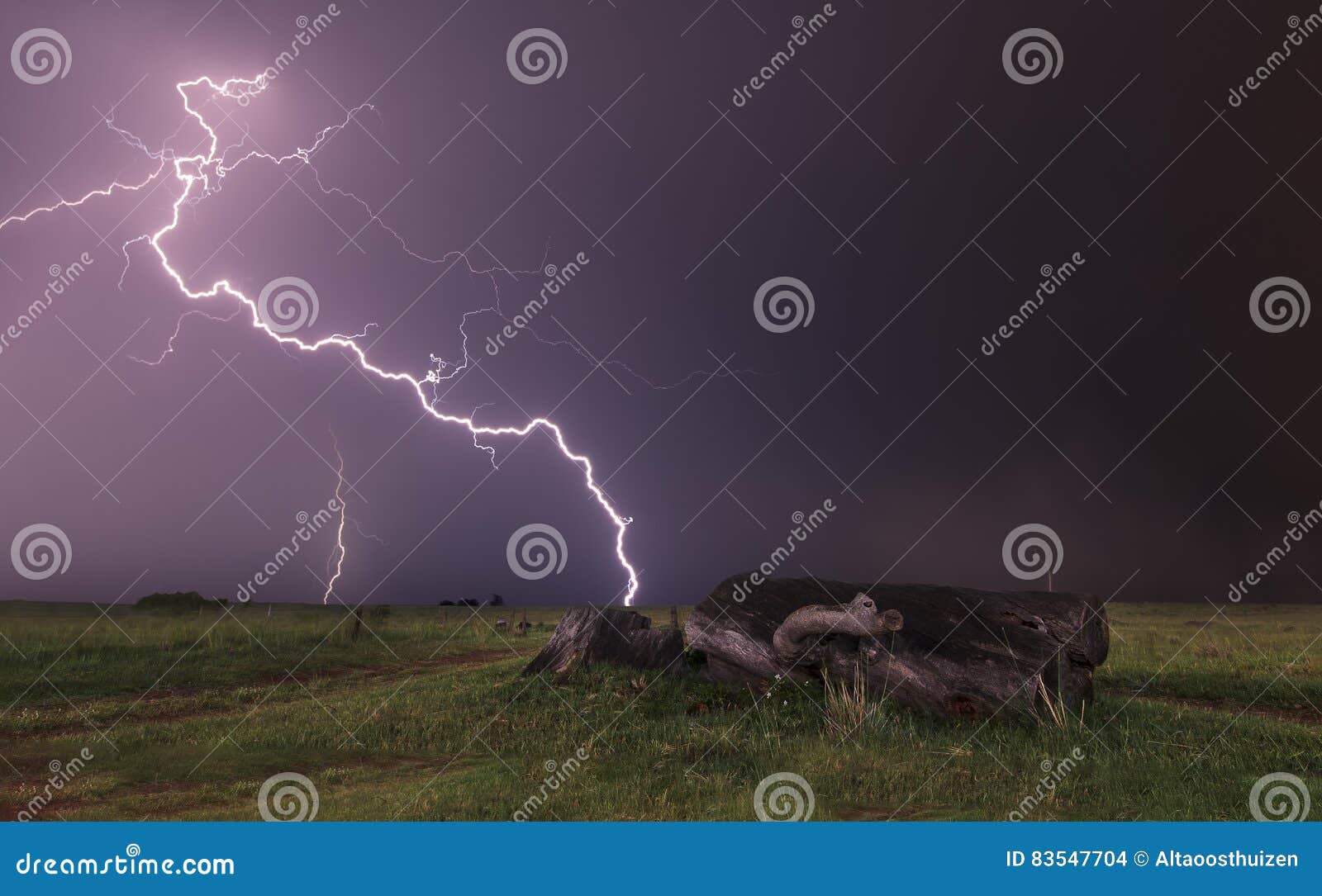 Landscape with Lightning Striking Behind Dead Tree Trunk Stock Photo ...