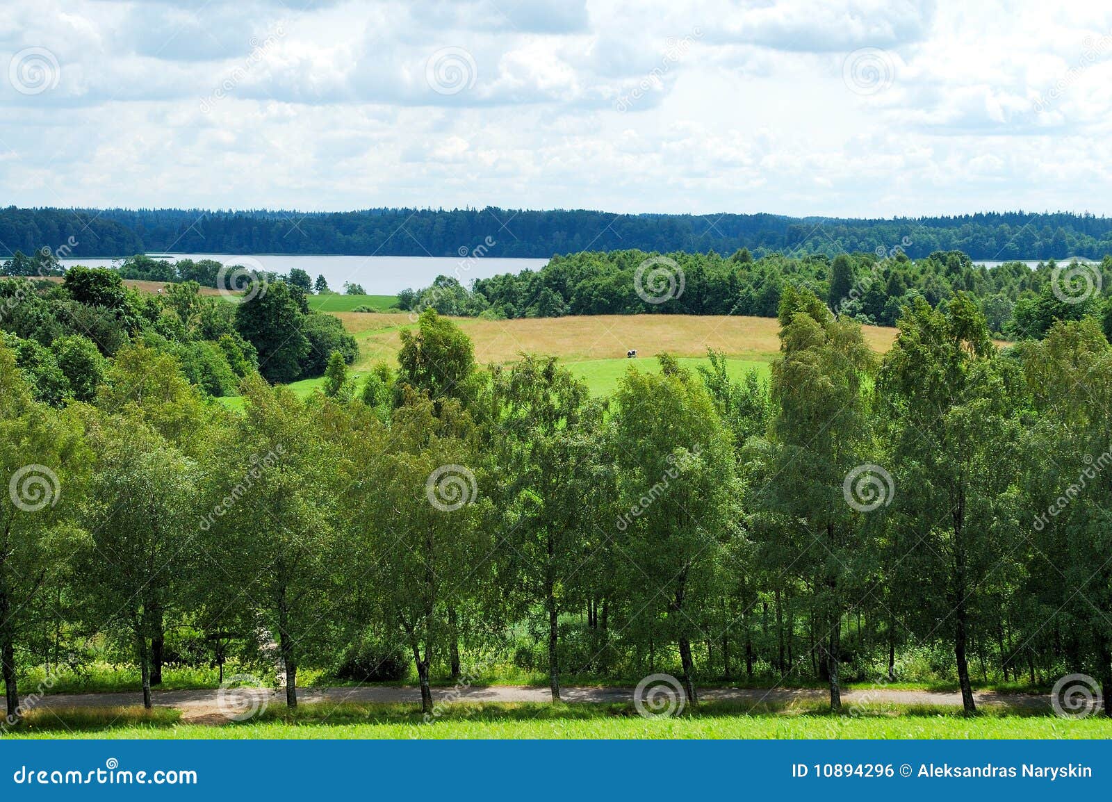 Landscape of Lithuania. stock photo. Image of look, mere - 10894296