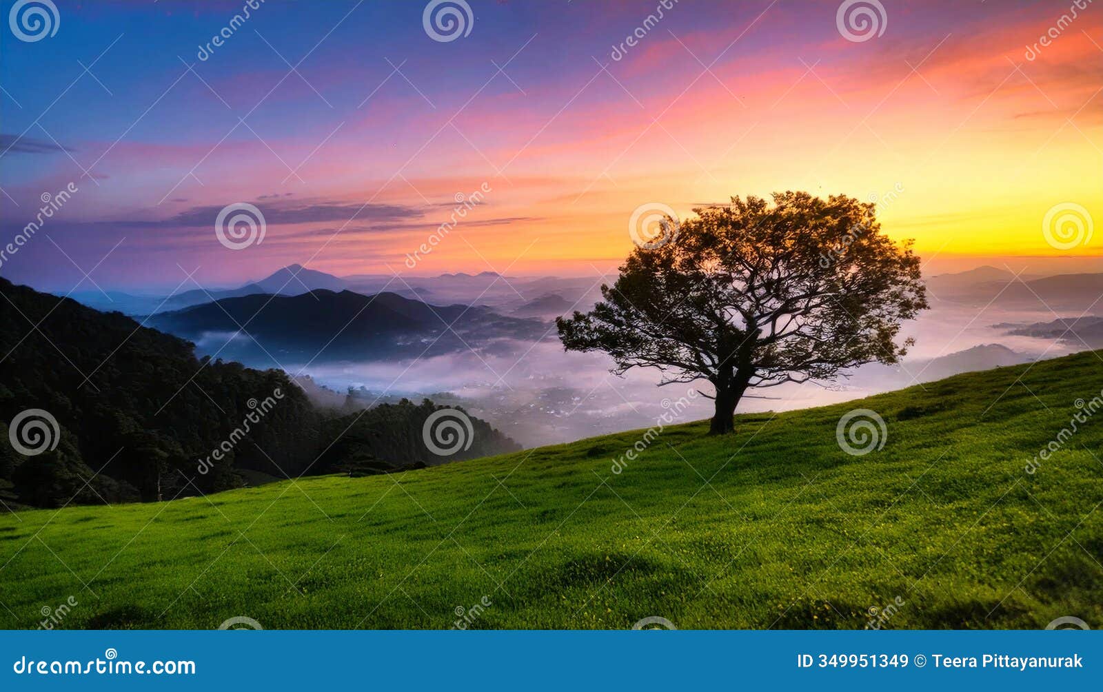 Landscape of a Lone Tree Standing on a High Mountain with Beautiful Sky ...