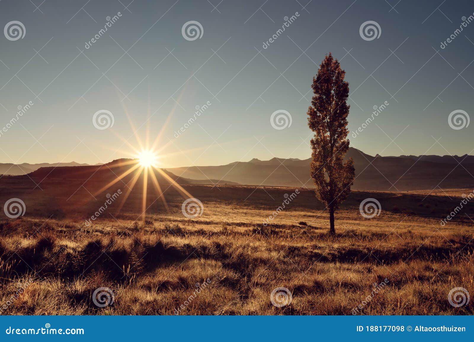 Landscape with a Lone Tree and the Sun Rising Behind Over Mountains ...