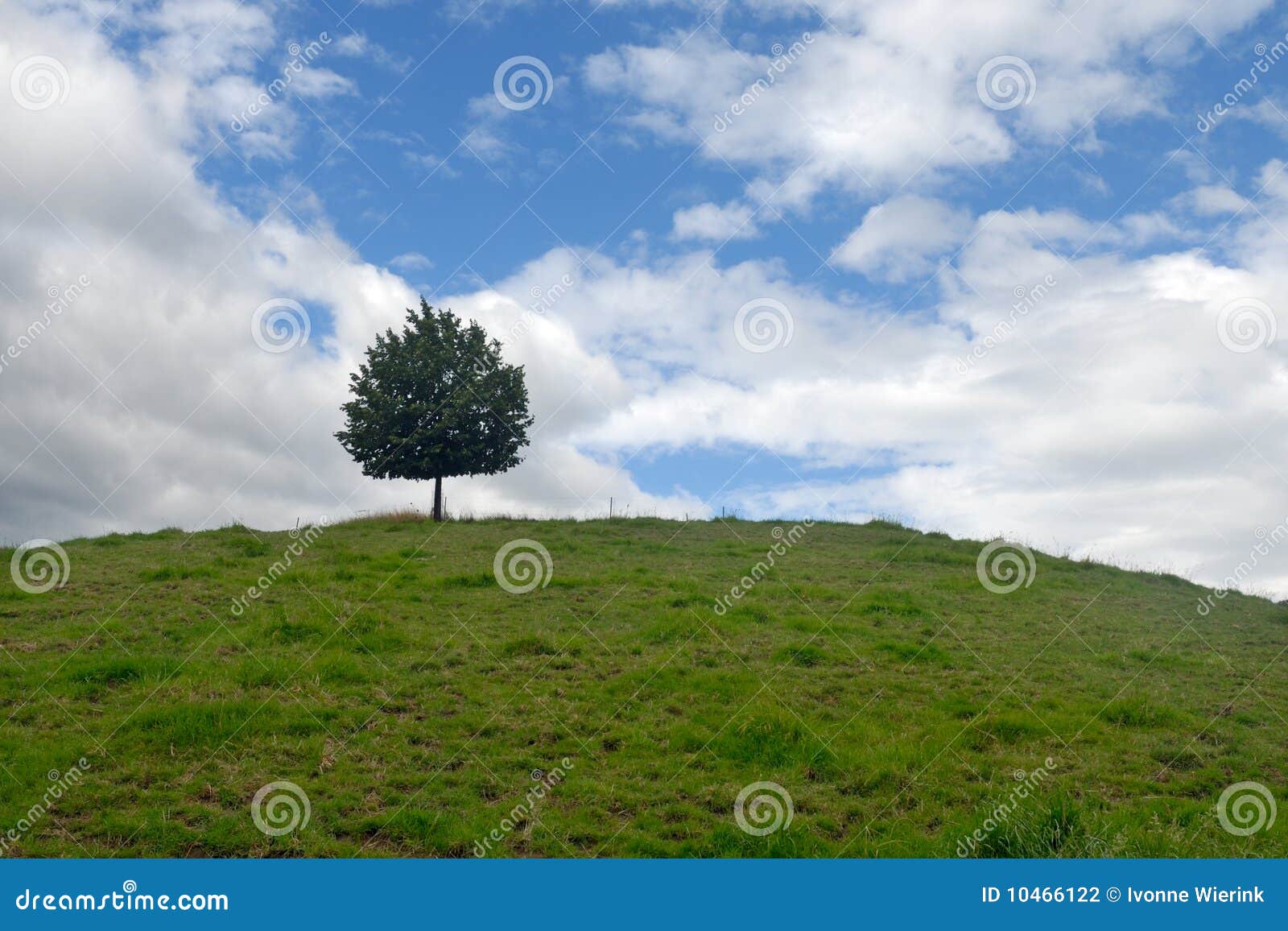 Landscape with lonely tree stock photo. Image of landscape - 10466122