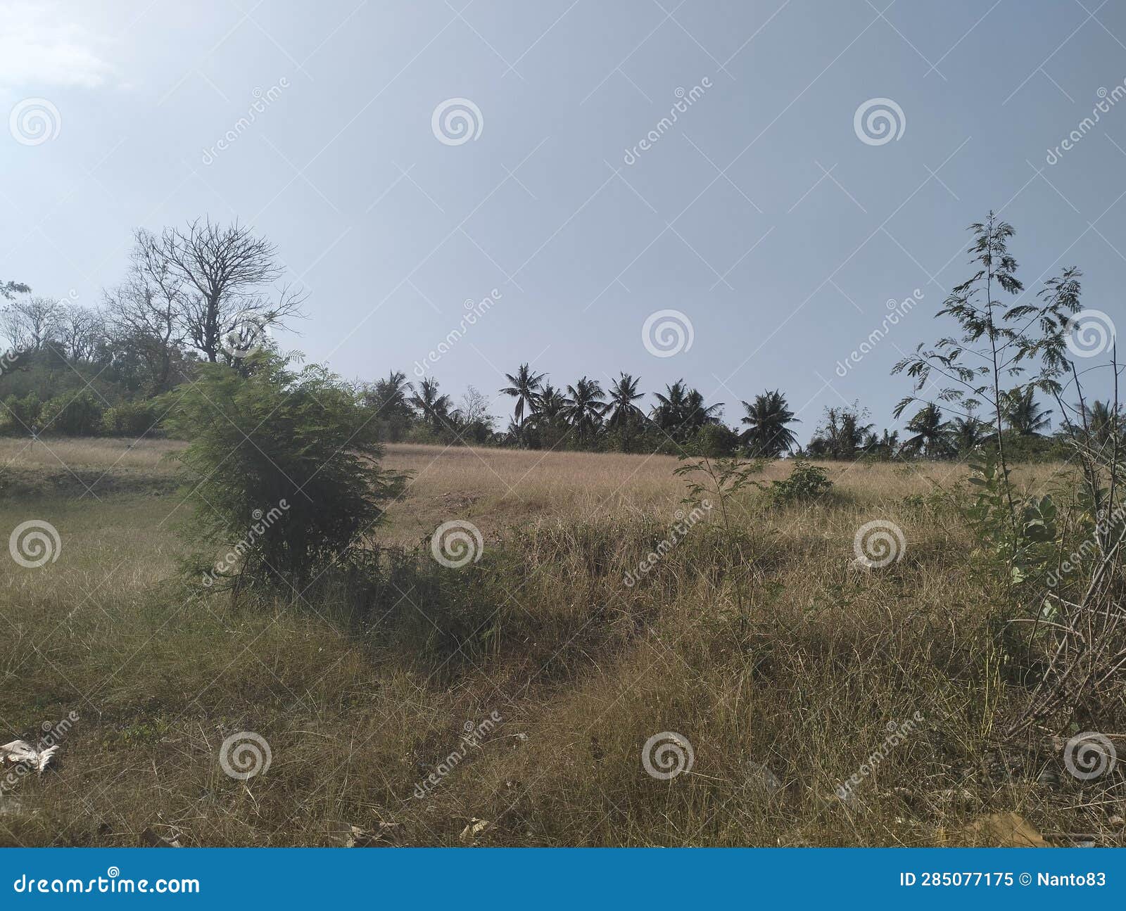 The Landscape Looks Arid because of the Lack of Rainfall Stock Image ...