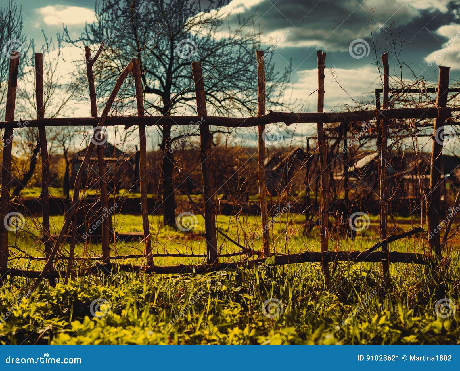 Landscape with Lush Green Fields Stock Image - Image of fields, farm ...