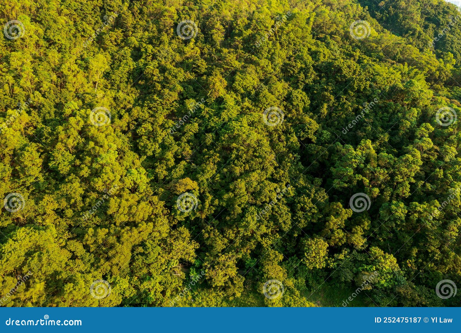 The Landscape of Ma Yau Tong , Lam Tin 6 May 2022 Editorial Photography ...