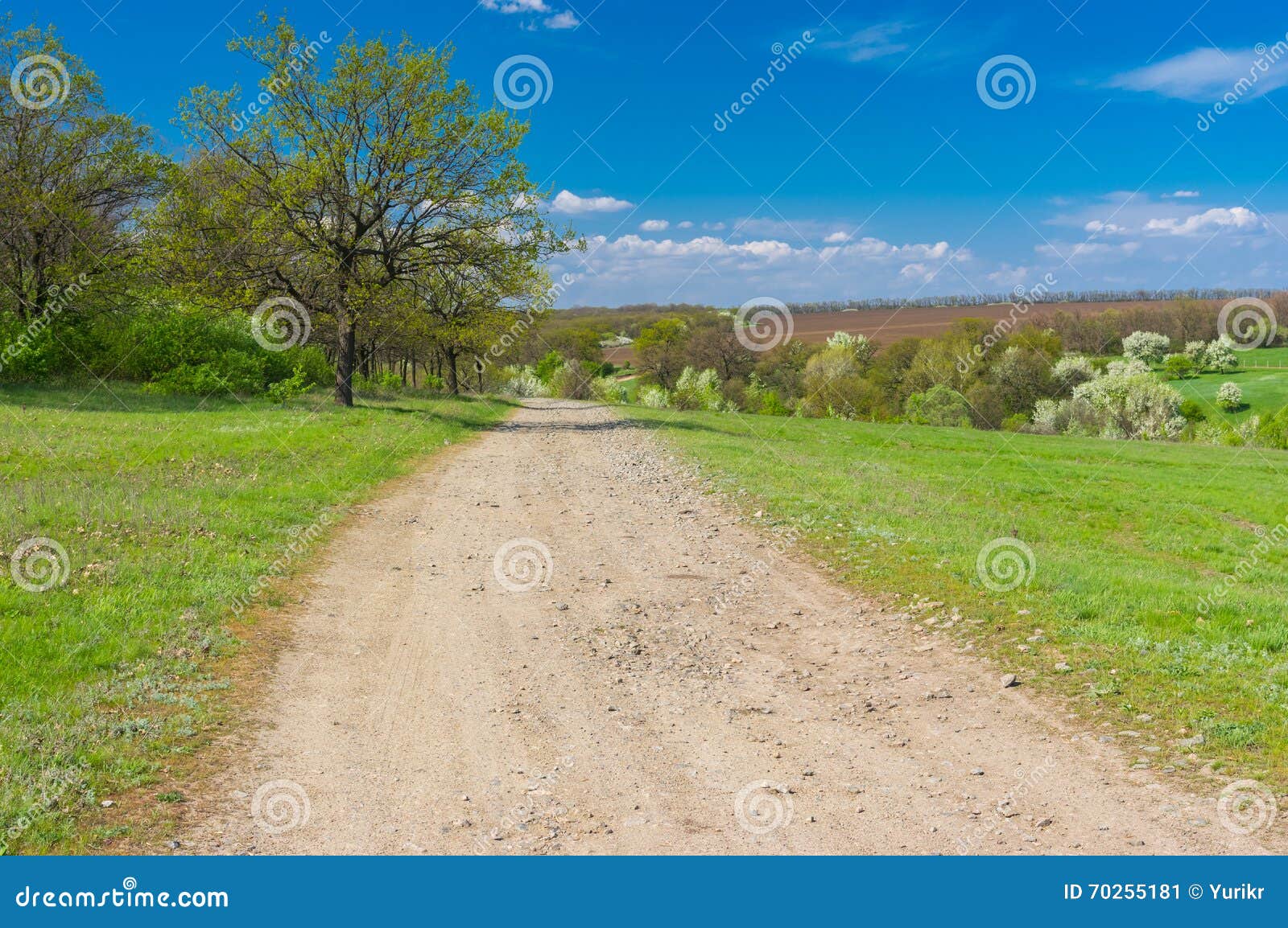 Landscape with Macadamized Road in Rural Area, Central Ukraine Stock ...