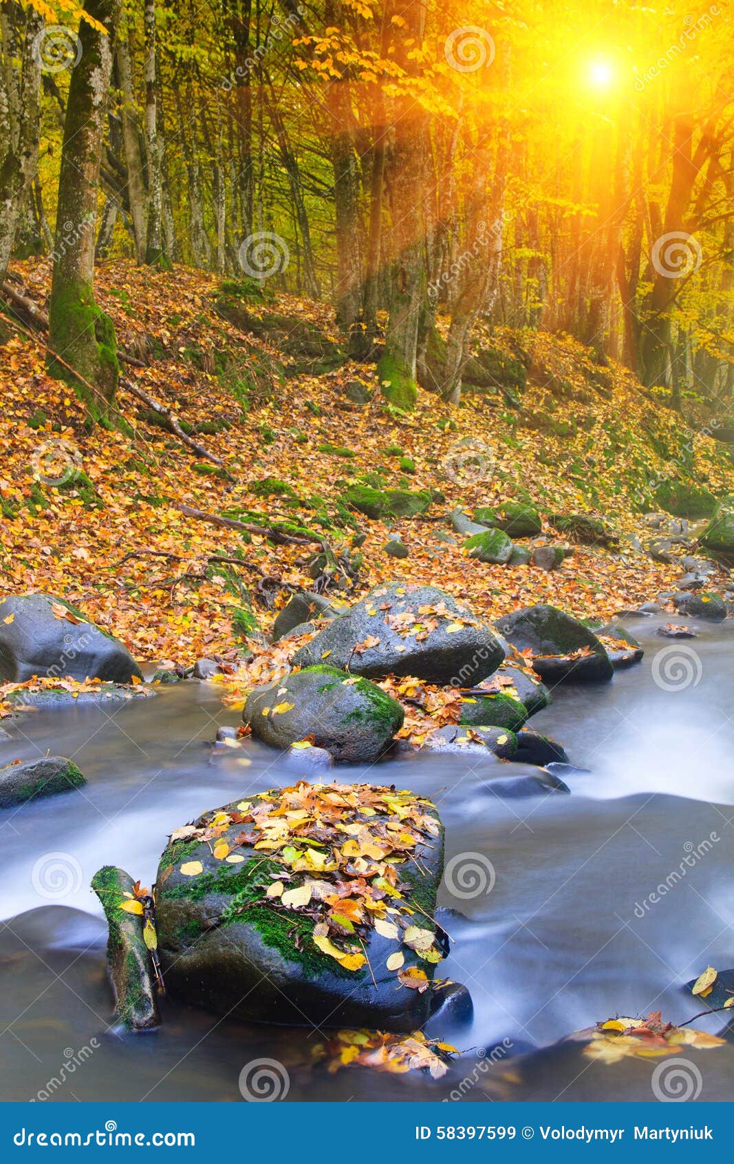 Landscape Magic River in Autumn Forest. Stock Image - Image of peaceful ...
