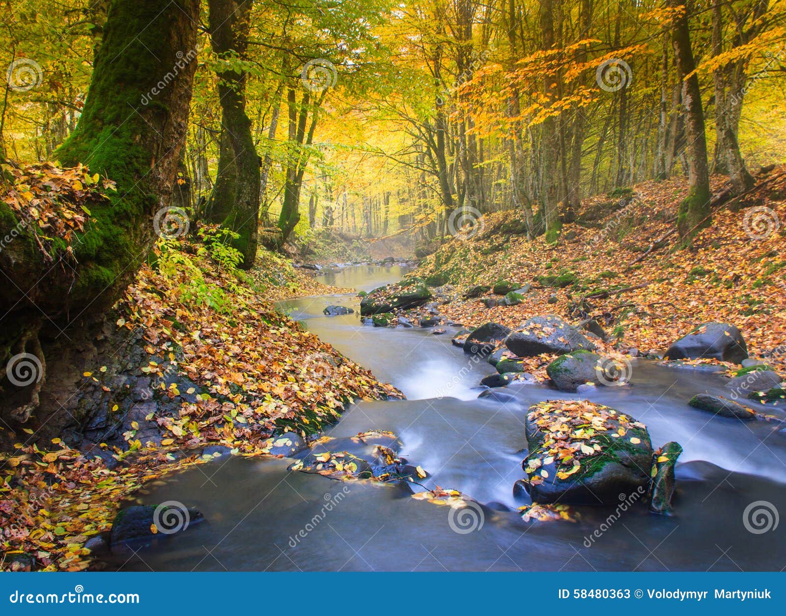 Landscape Magic River in Autumn Forest. Stock Image - Image of ...