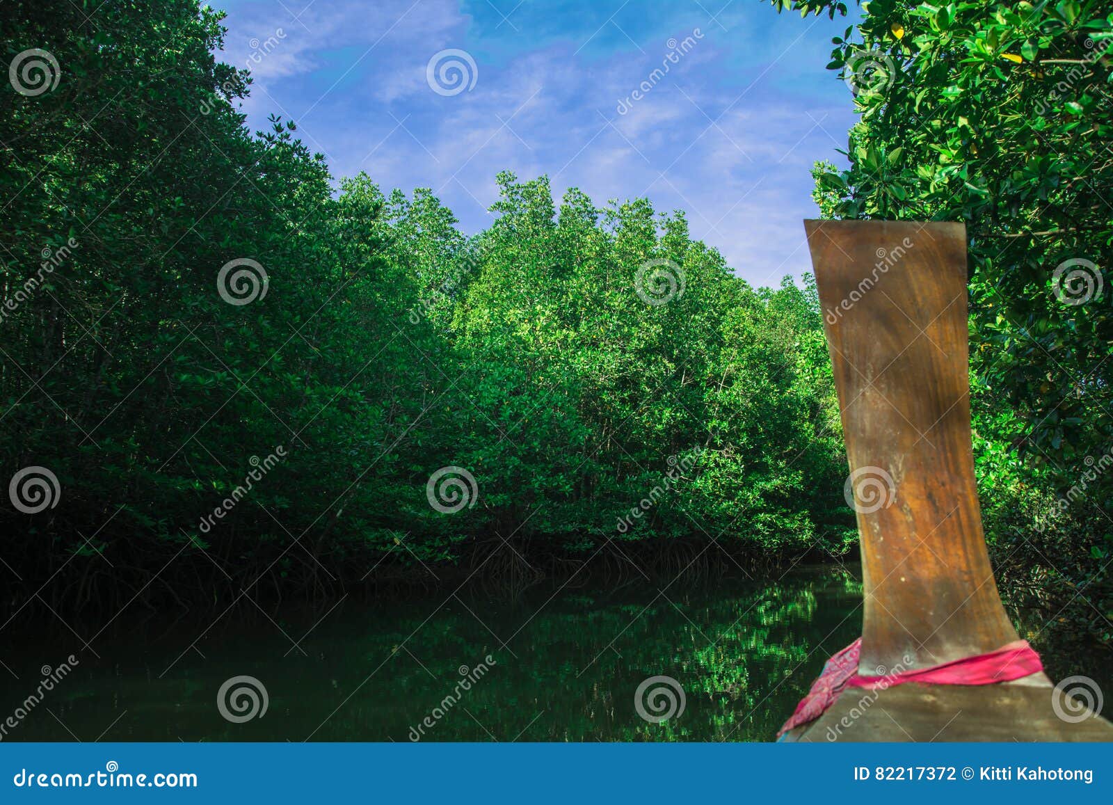 Landscape of Mangrove Forest with Prow Stock Photo - Image of beautiful ...