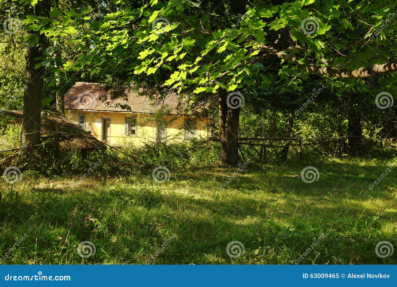 Landscape with Maple Tree Grove and Abandoned Rustic House Stock Image ...