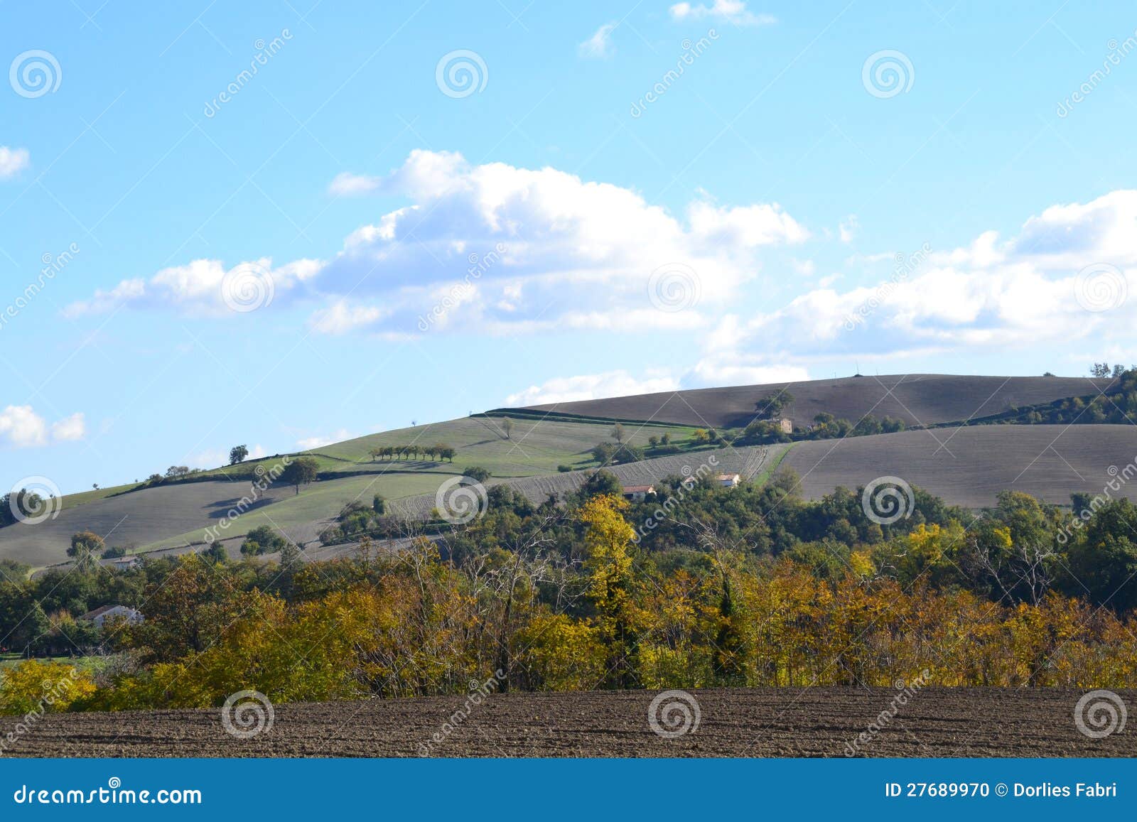 Landscape in the Marche - Italy Stock Photo - Image of field, nature ...
