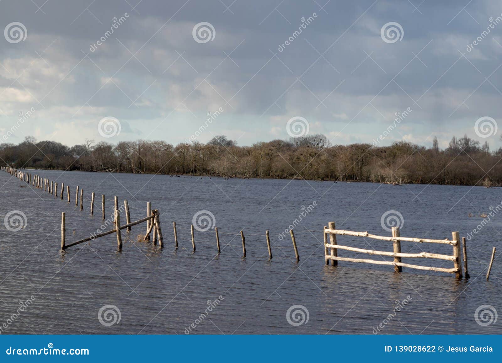 Landscape of Marshes Flooding Fields on a Cloudy Day Stock Photo ...