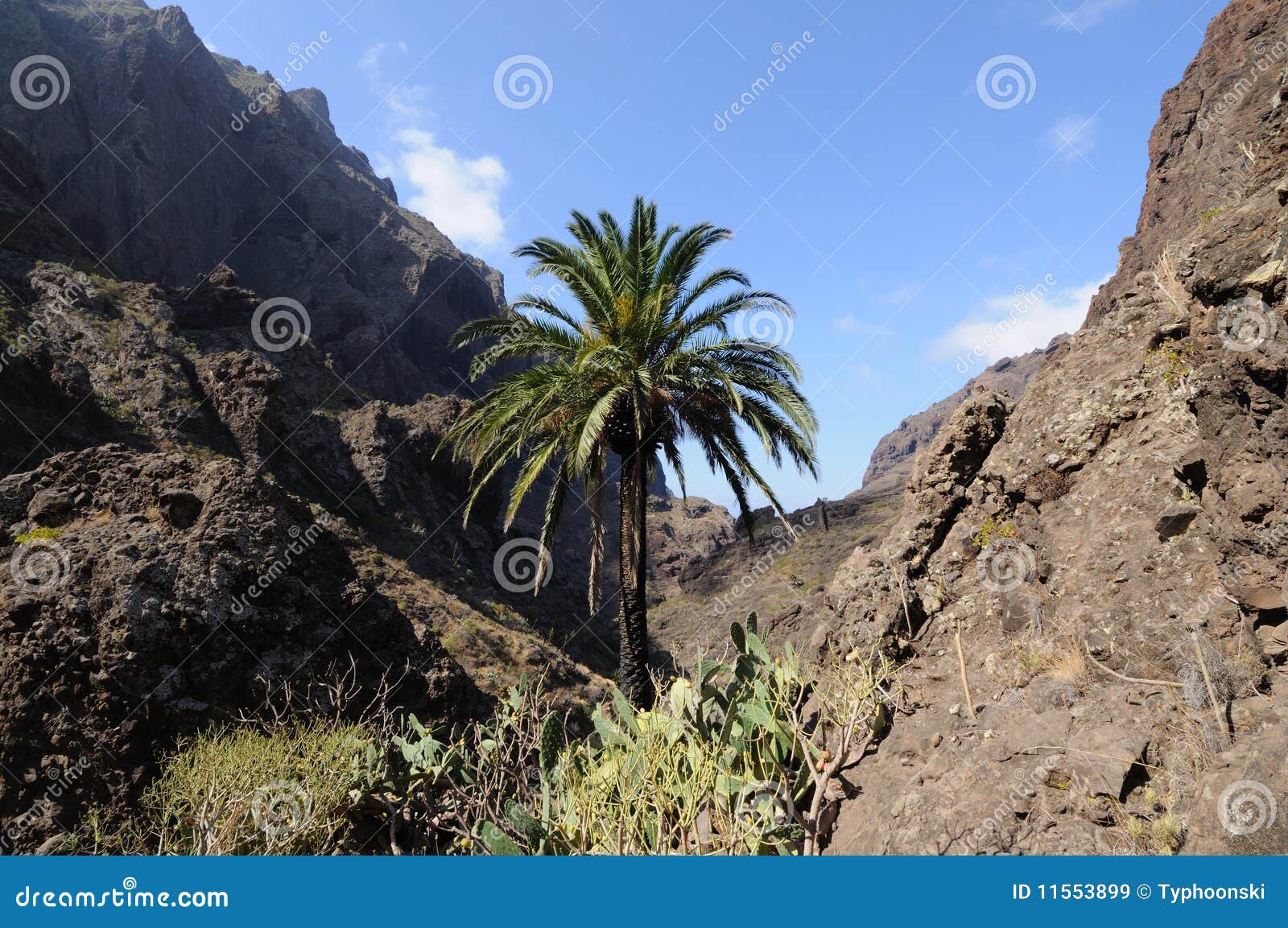 Landscape in the Masca Valley, Tenerife Stock Image - Image of ...
