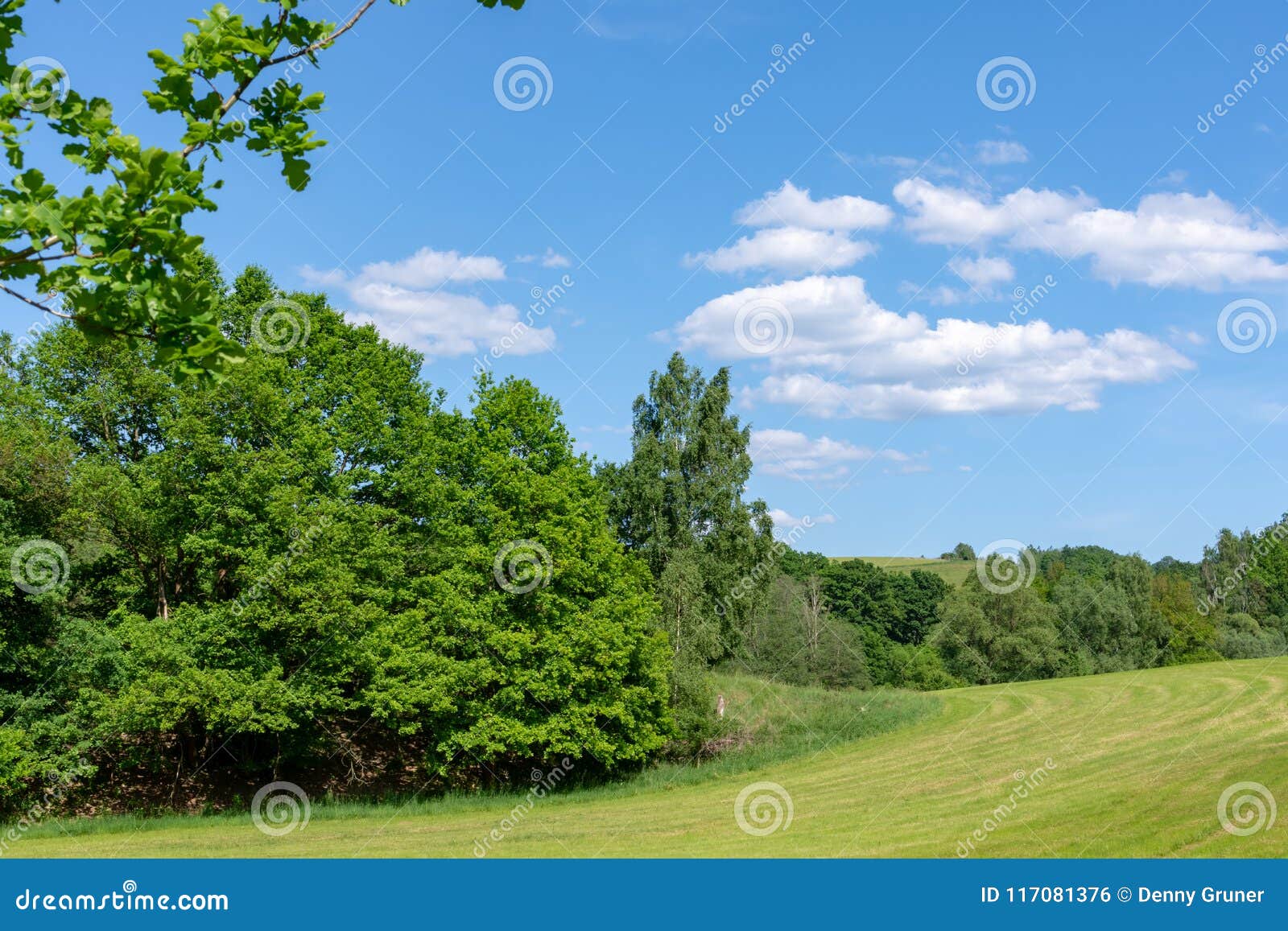 A landscape in may stock photo. Image of season, environment - 117081376