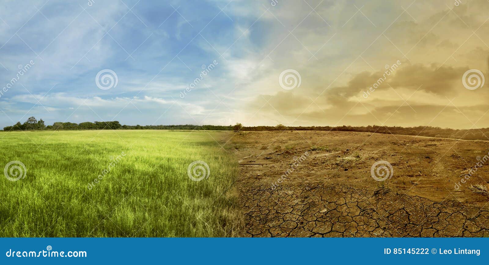 Landscape of Meadow Field with the Changing Environment Stock Photo ...