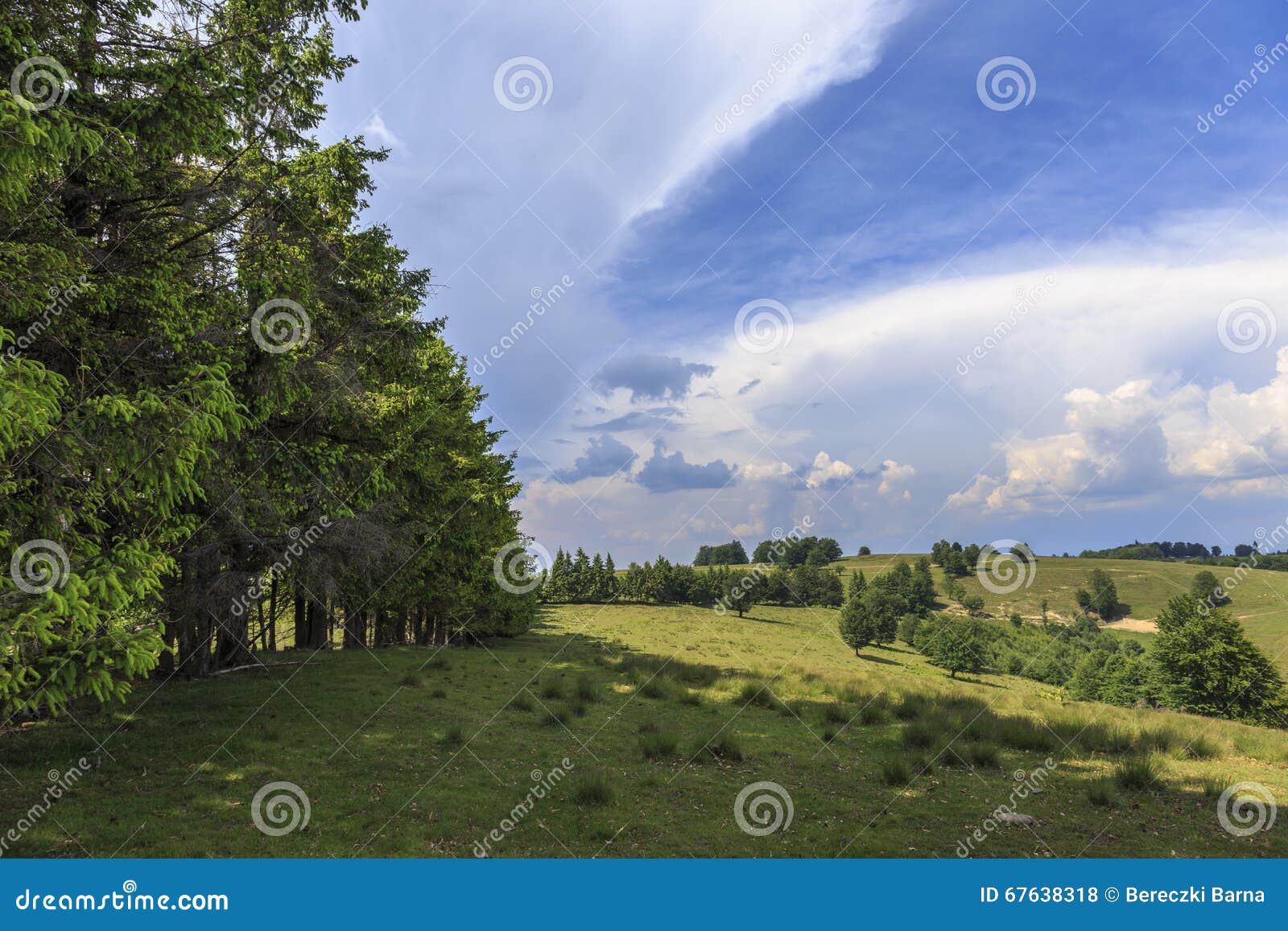 Landscape with Meadow and Scattered Trees Stock Photo - Image of blue ...