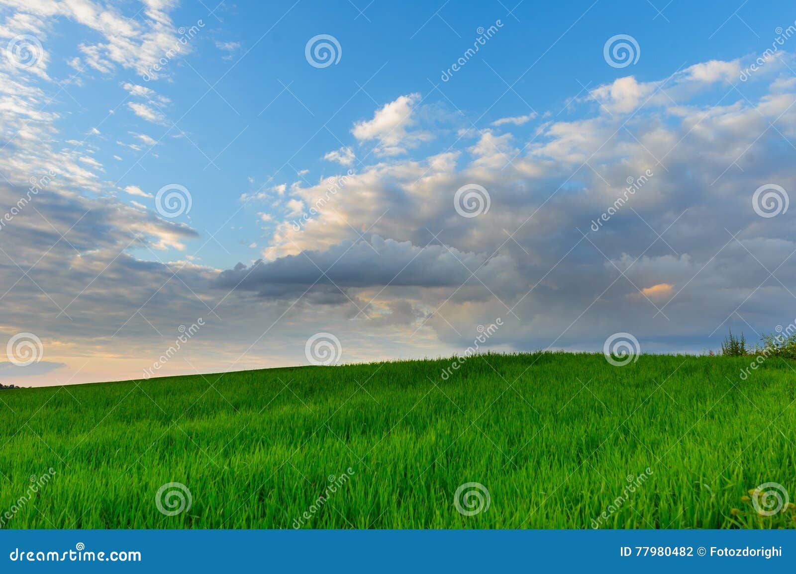 Landscape on a Meadow and Wonderful Sky at Sunset. Stock Photo - Image ...